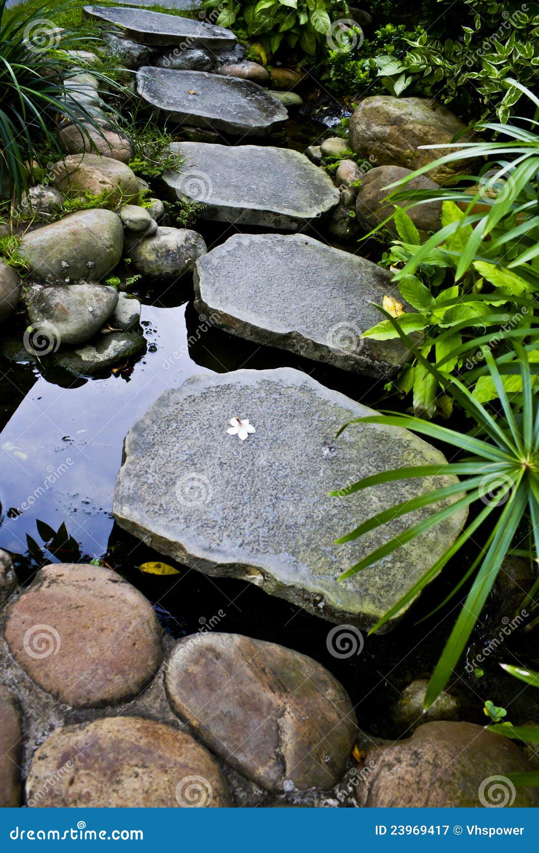 Stone pathway stock image. Image of stones, pond, path - 23969417