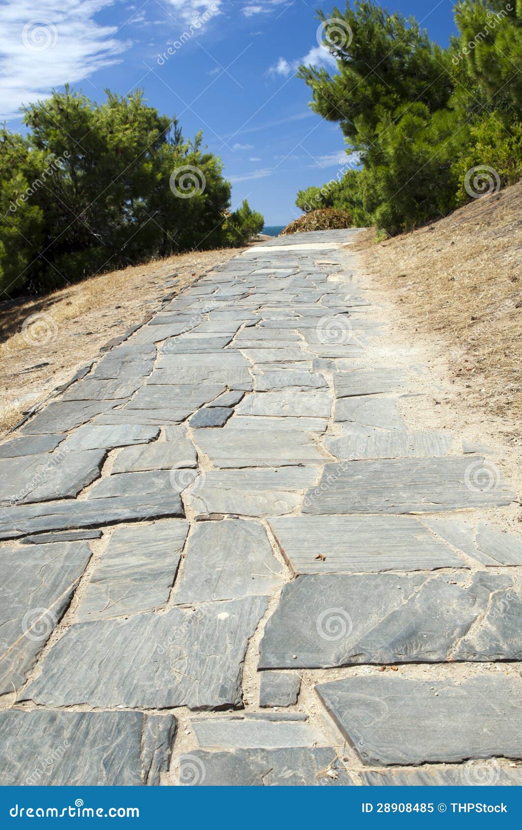Stone Pathway Texture Stock Photography | CartoonDealer.com #66647336