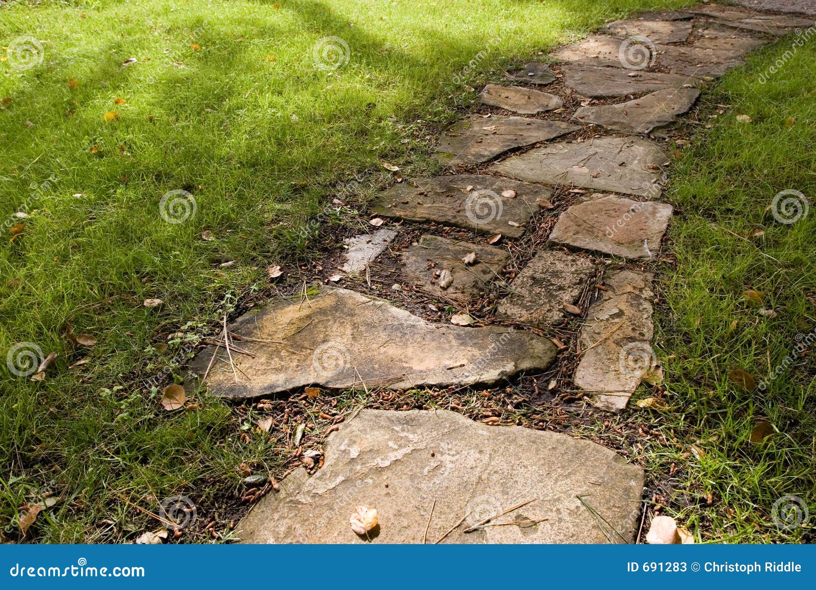 Stone Pathway In The Garden Stock Photography | CartoonDealer.com #62518556