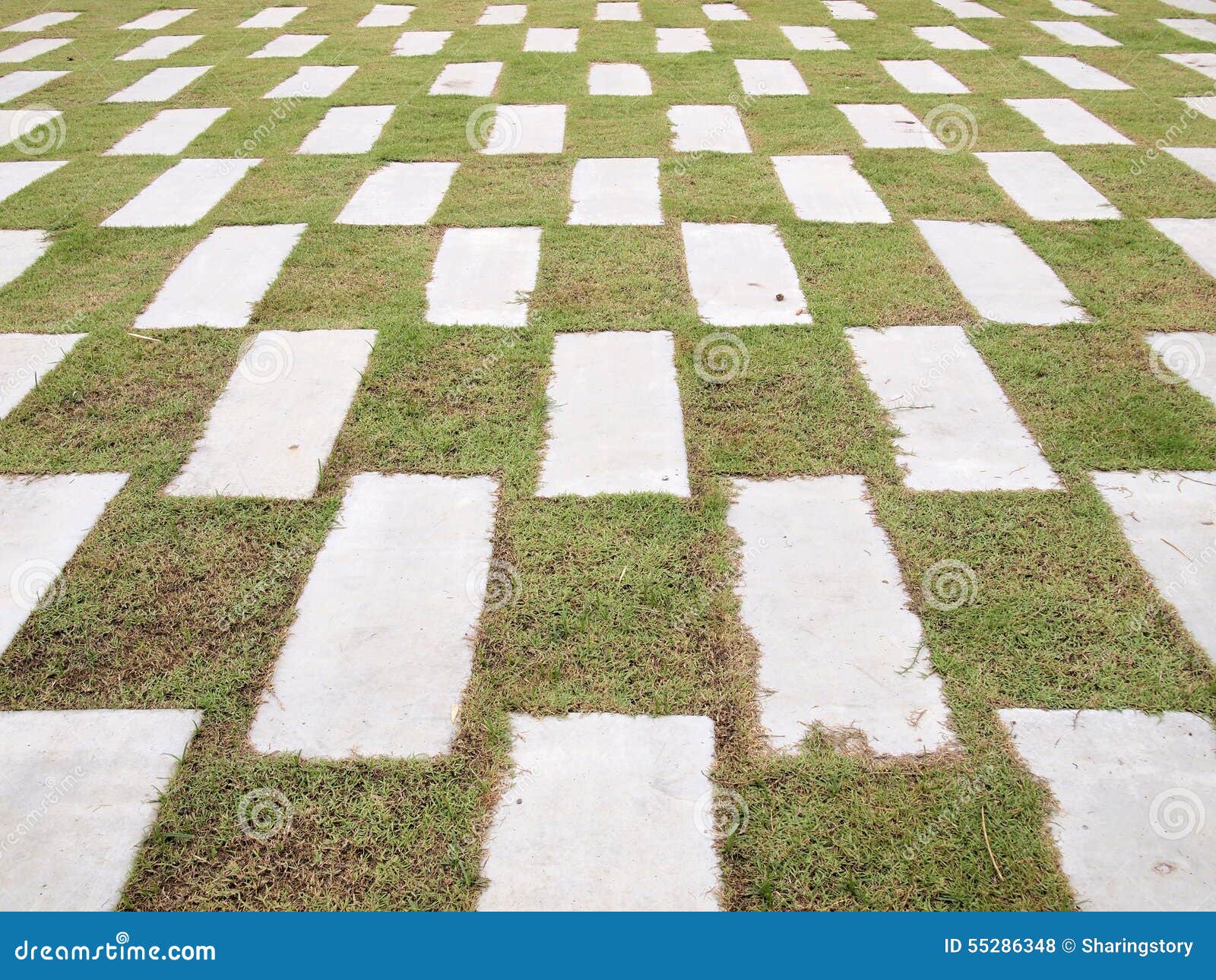 Stone pathway stock photo. Image of outdoor, direct, gardening - 55286348