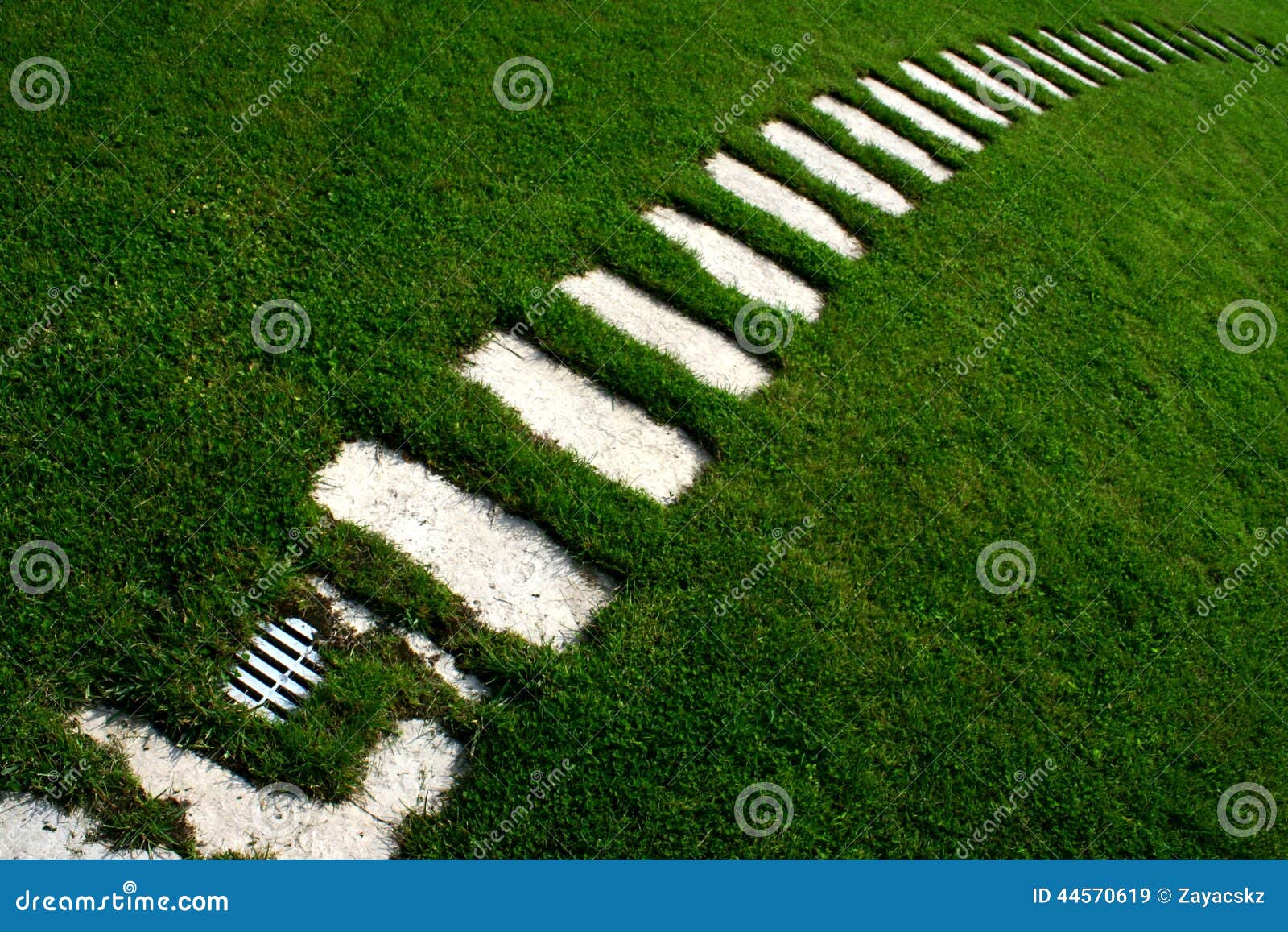 Stone Pathway Across Cultivated Lawn and Drain Grid Stock Image - Image ...