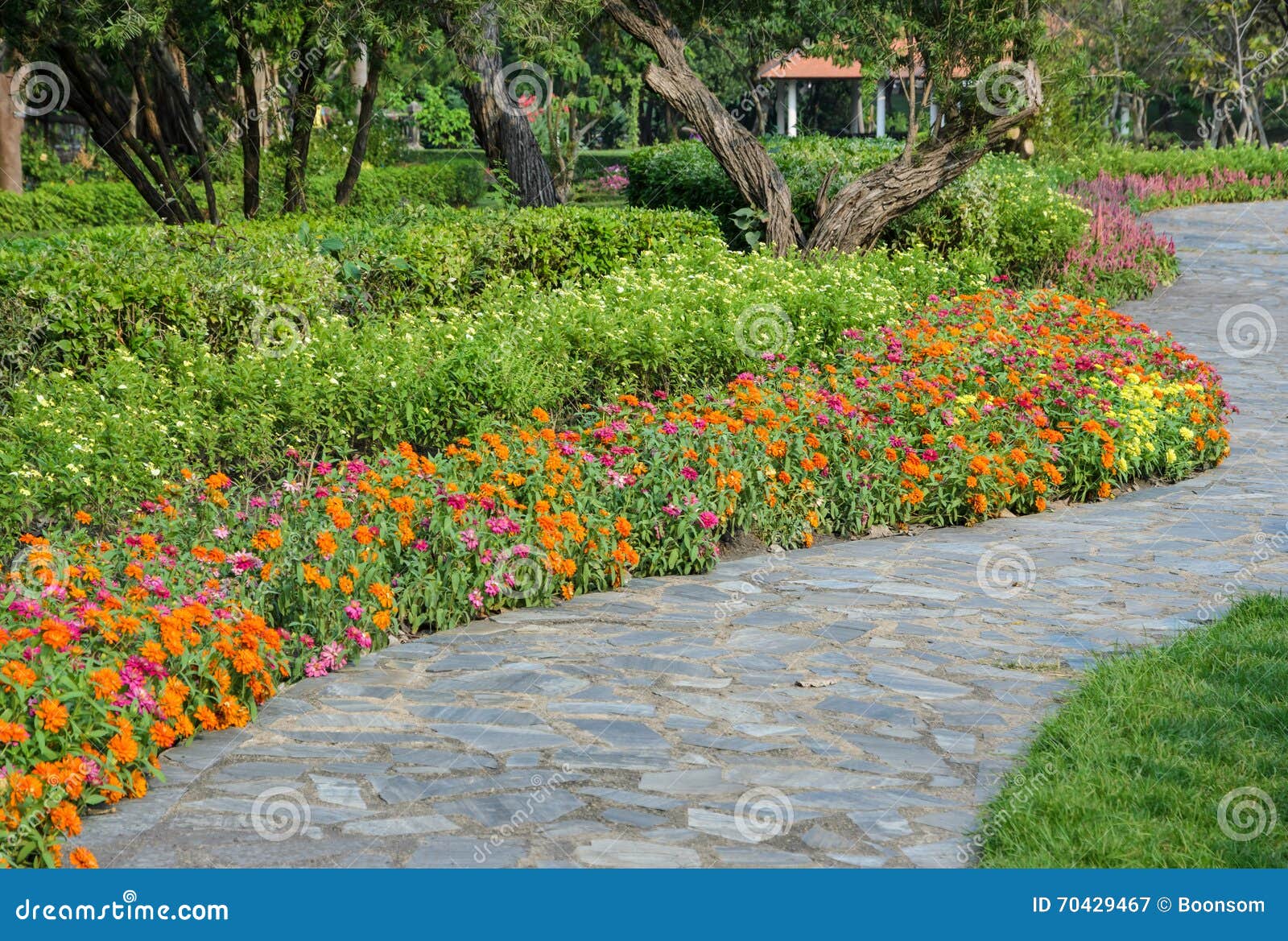 Stone Pathway in Colorful Flower Garden Stock Image - Image of elegans ...