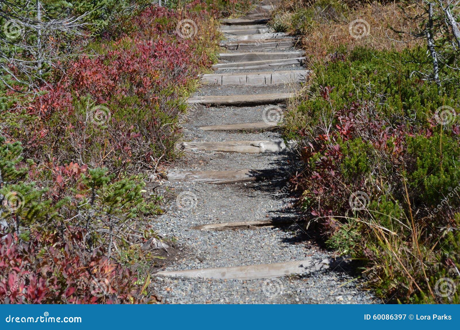 Stone Pathway in the Countryside Stock Image - Image of trail, distance ...
