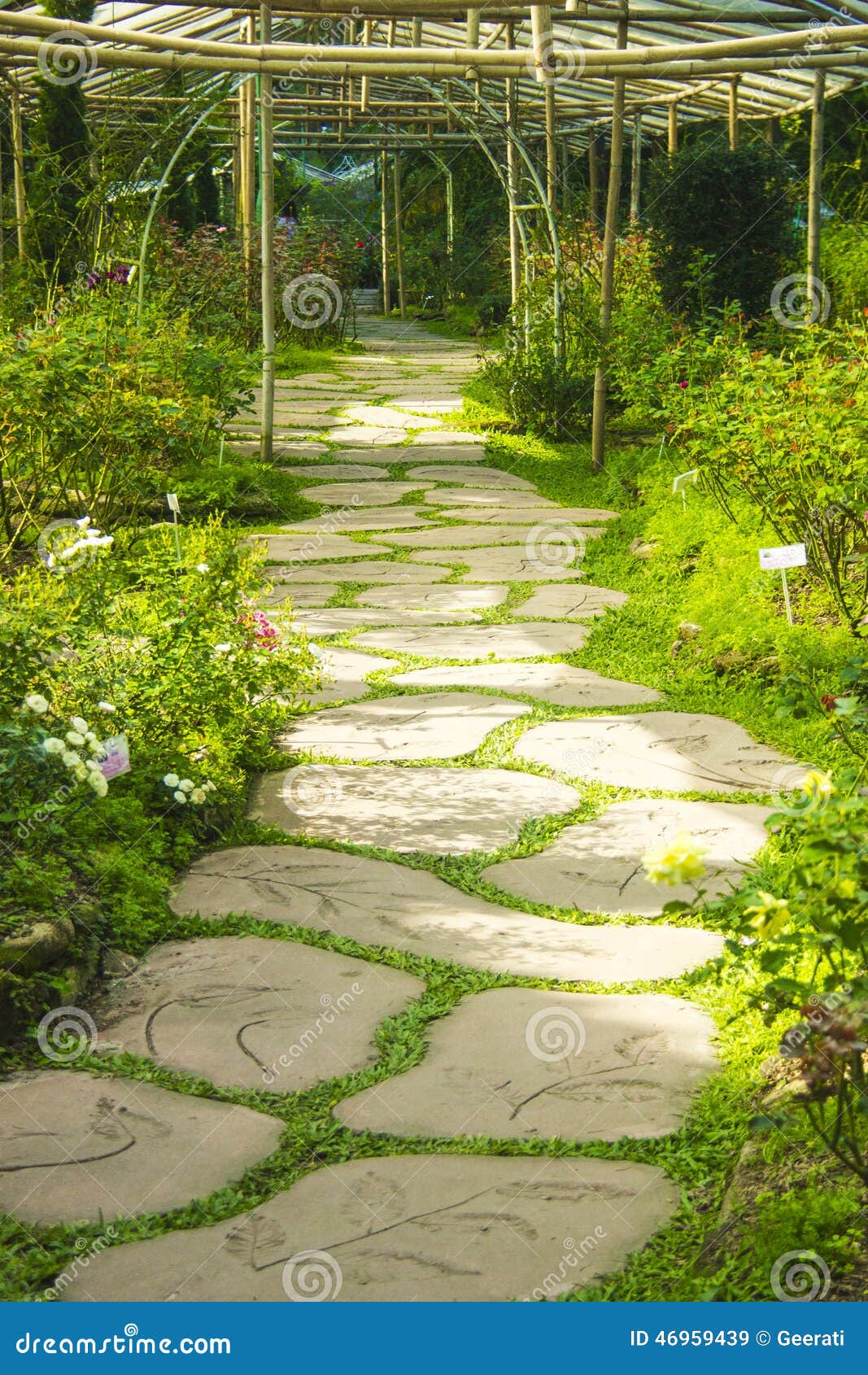 Stone Pathway In The Garden Stock Photography | CartoonDealer.com #62518556