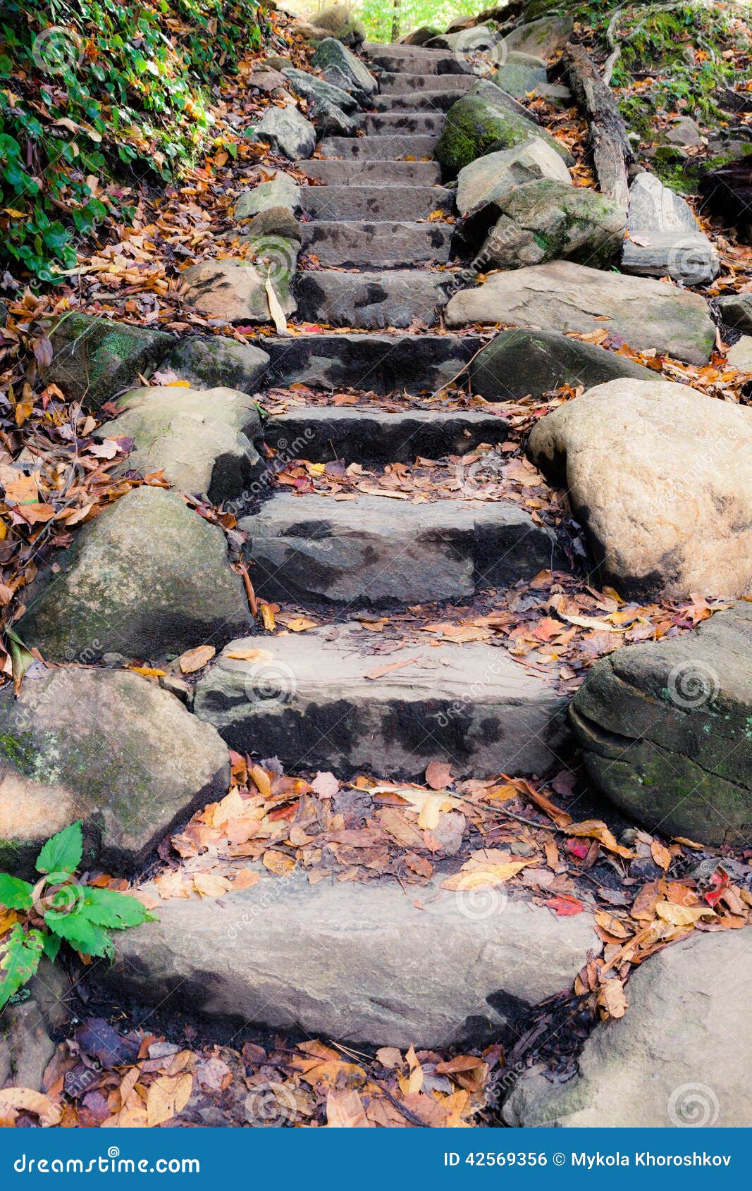 Stone pathway stock photo. Image of wood, path, pathway - 42569356