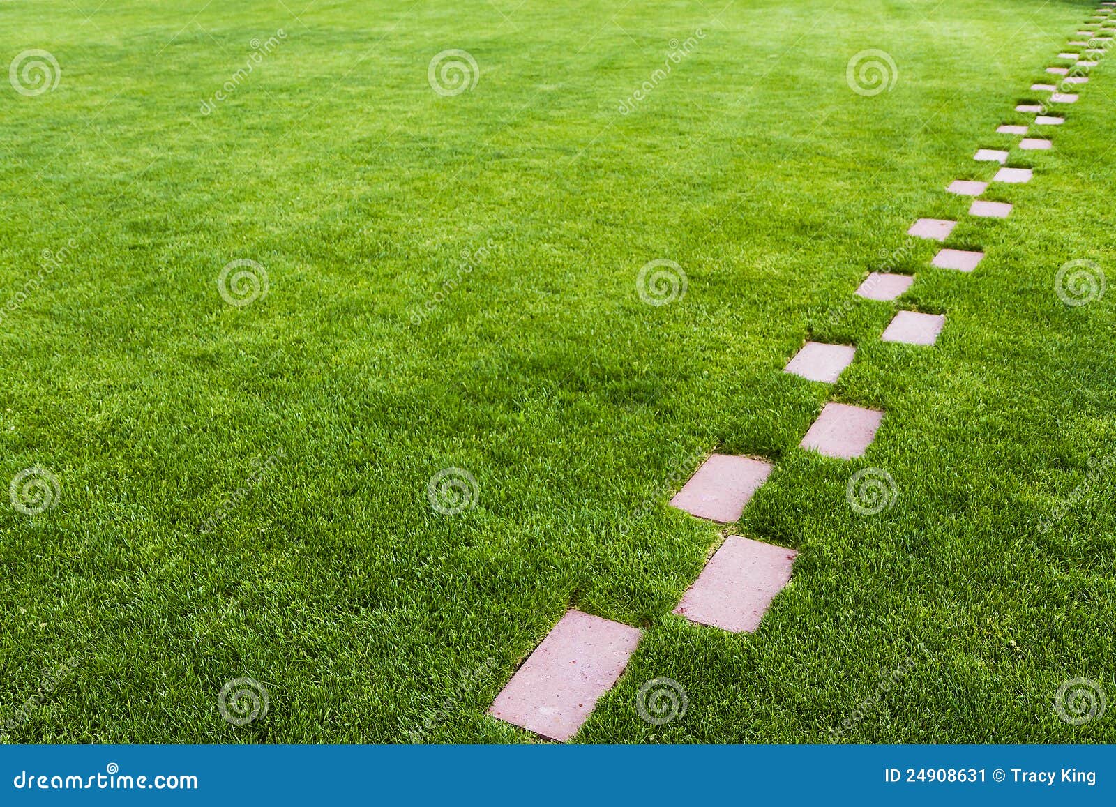Stone pathway in the grass stock image. Image of grass - 24908631