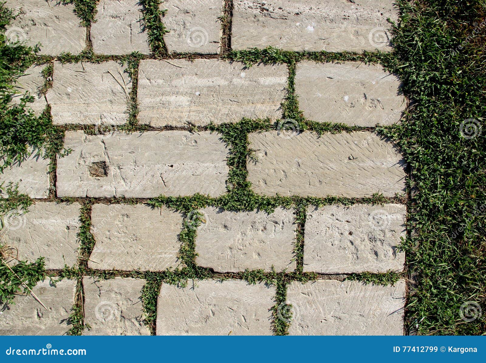 Stone Pathway with Grass between Blocks Stock Image - Image of closeup ...