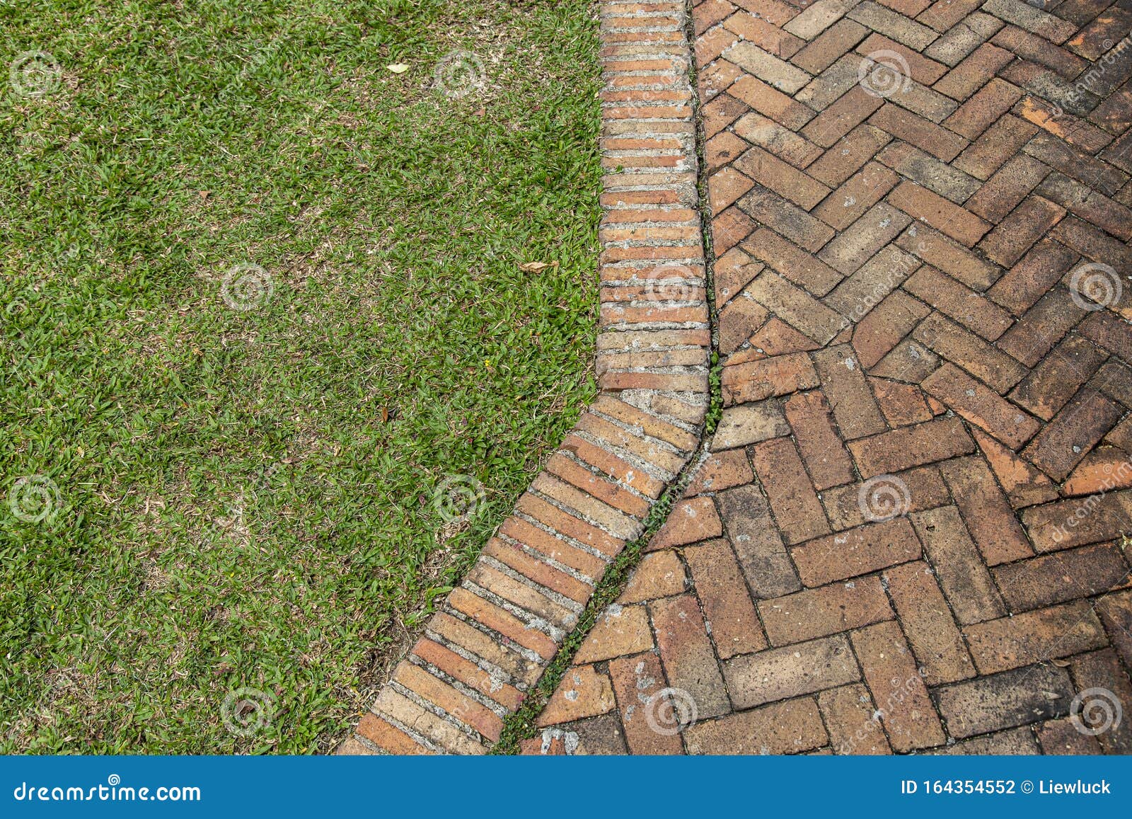 Stone pathway with grass stock photo. Image of plant - 164354552