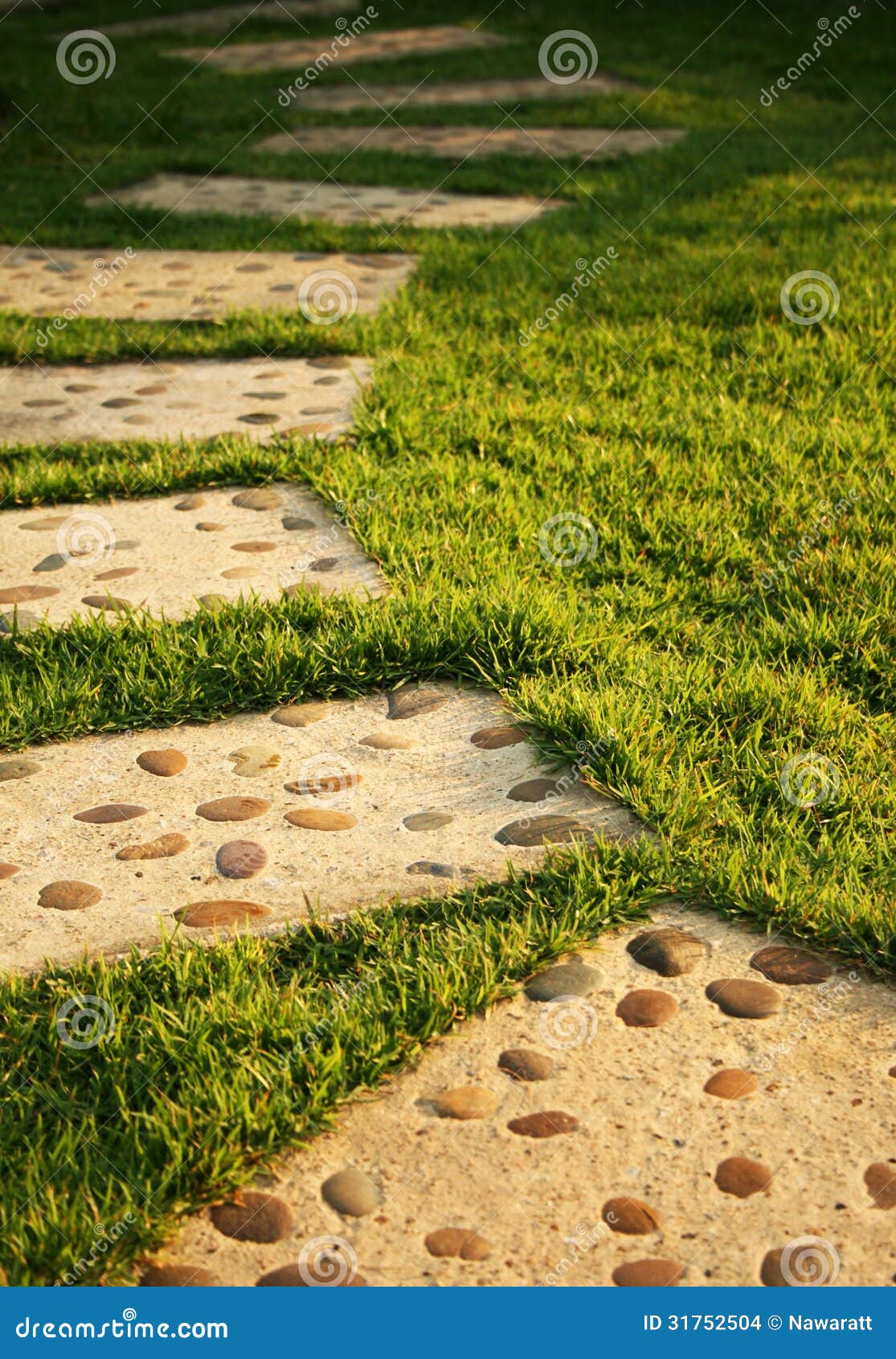 Stone Pathway In The Garden Stock Photography | CartoonDealer.com #62518556