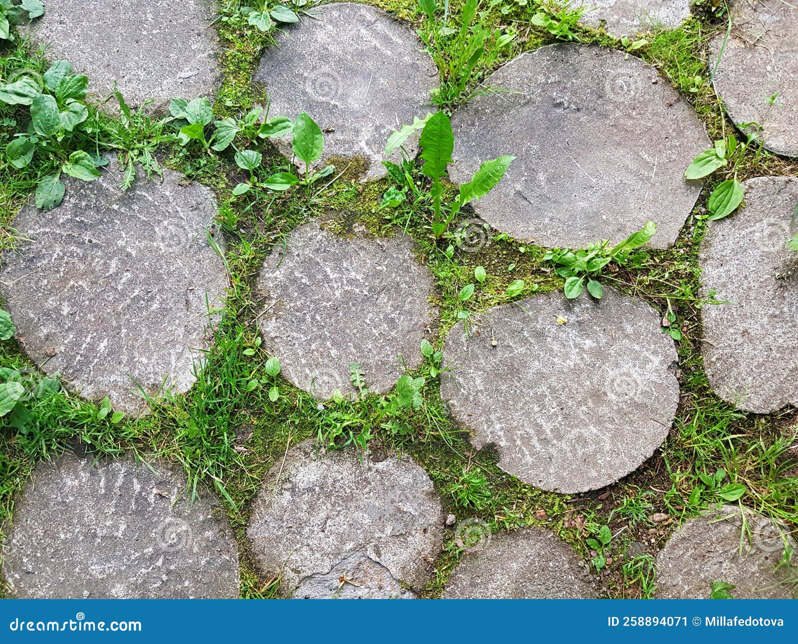 Stone Pathway on Green Grass Background, Top View Stock Image - Image ...