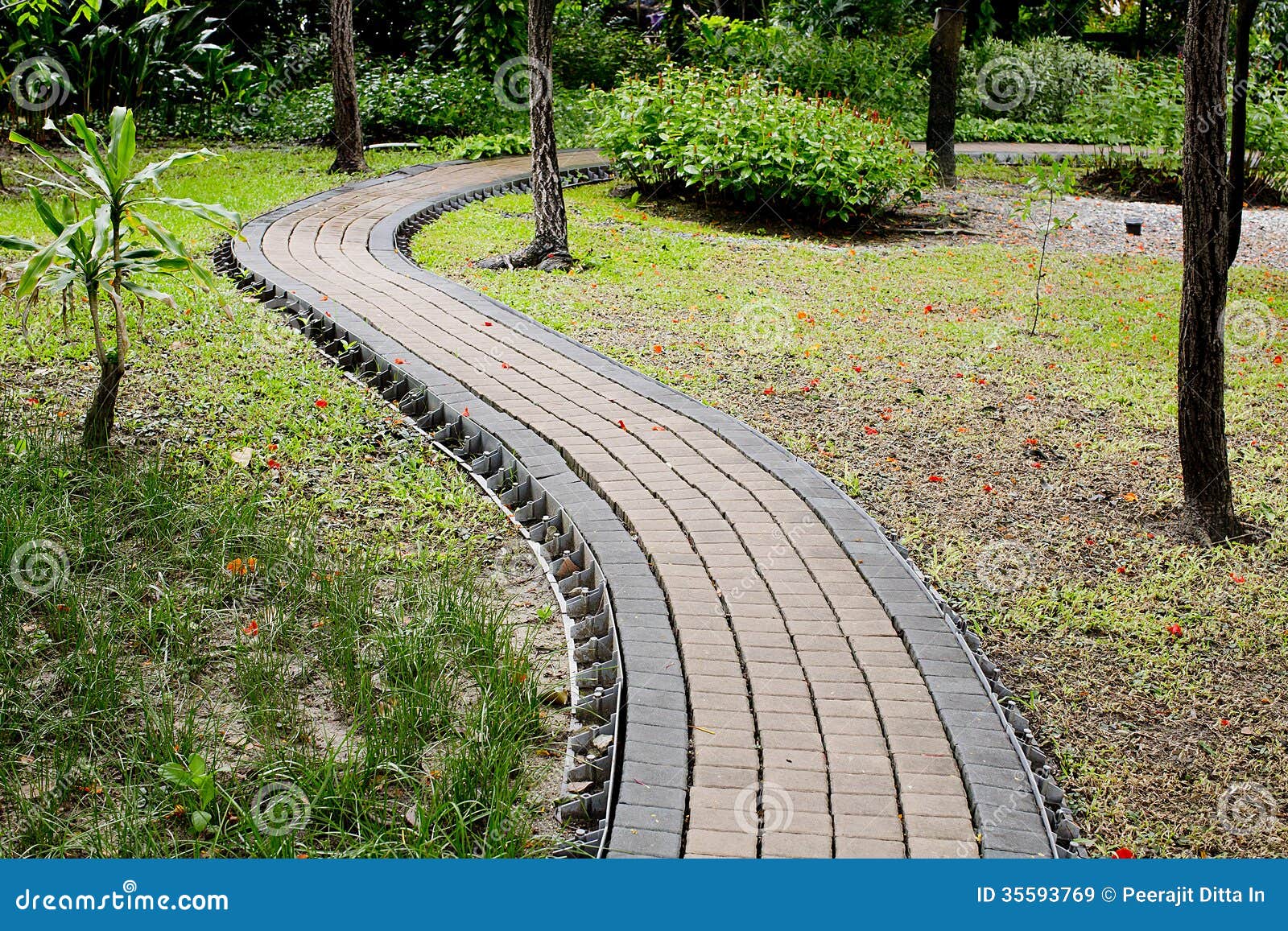 Stone Pathway in Green Park Stock Image - Image of landscaped, leaf ...