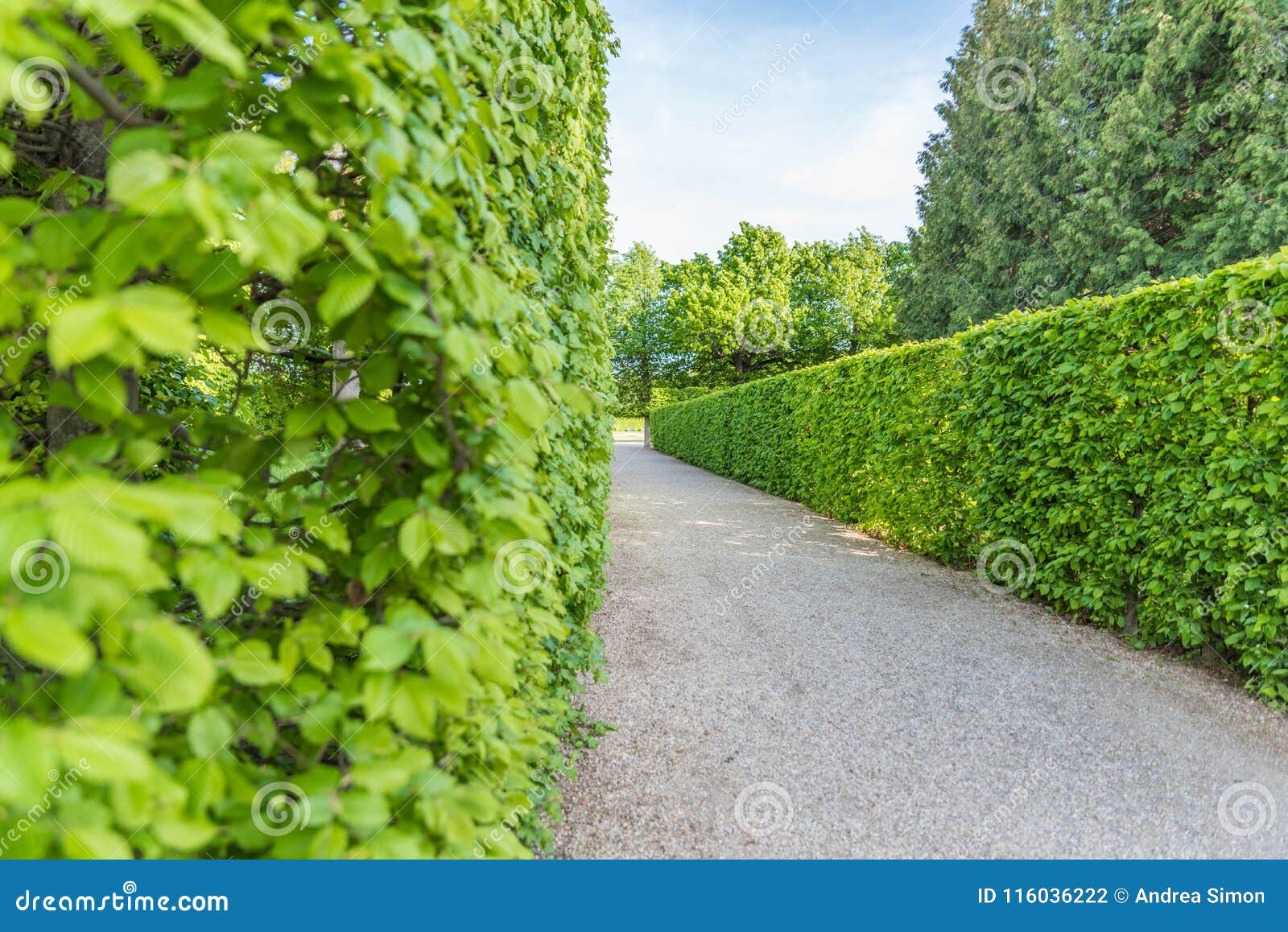 Pathway Through Hedge With Blank Sign Royalty-Free Stock Photography ...