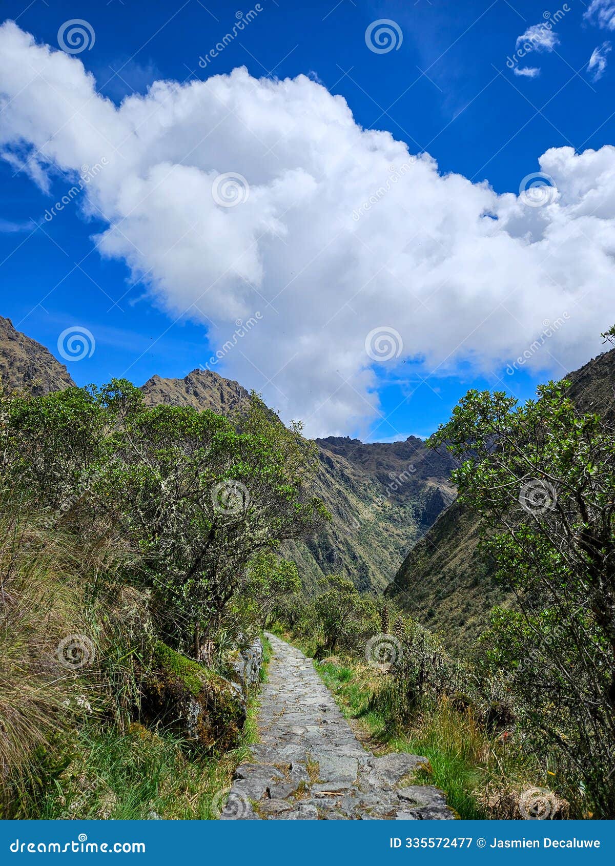 Stone Pathway of the Inka Trail, Cusco, Peru Stock Image - Image of ...