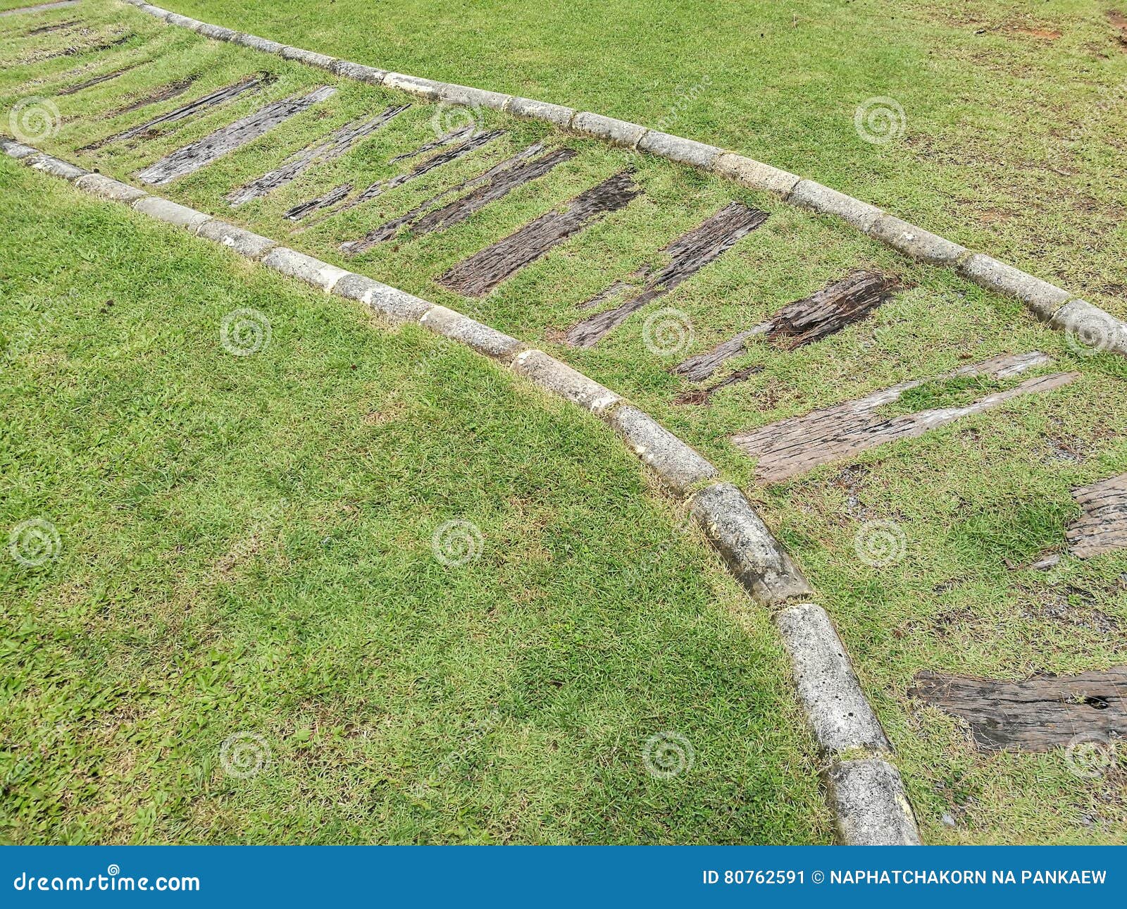 Stone Pathway on the Lawn in the Garden. Stock Image - Image of road ...