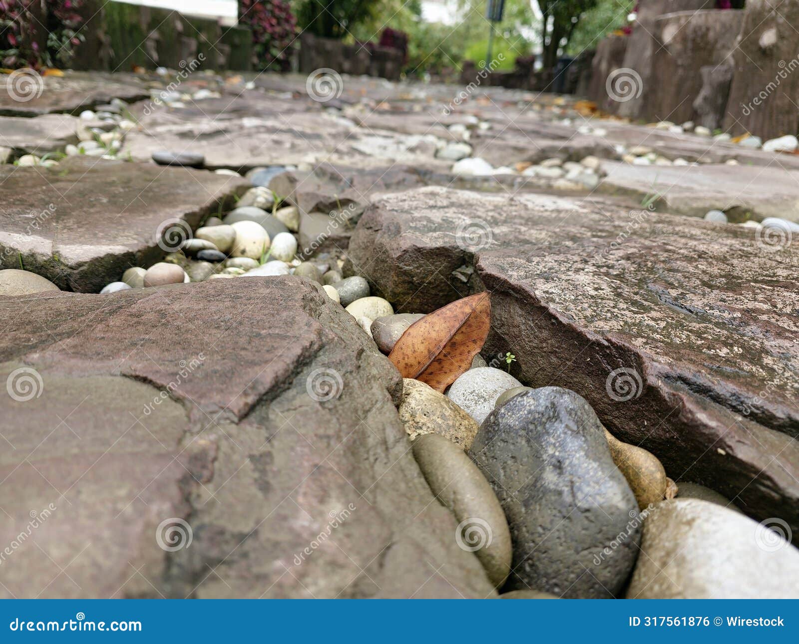 Stone Pathway Lined with Small Rocks and Gravel Stock Photo - Image of ...