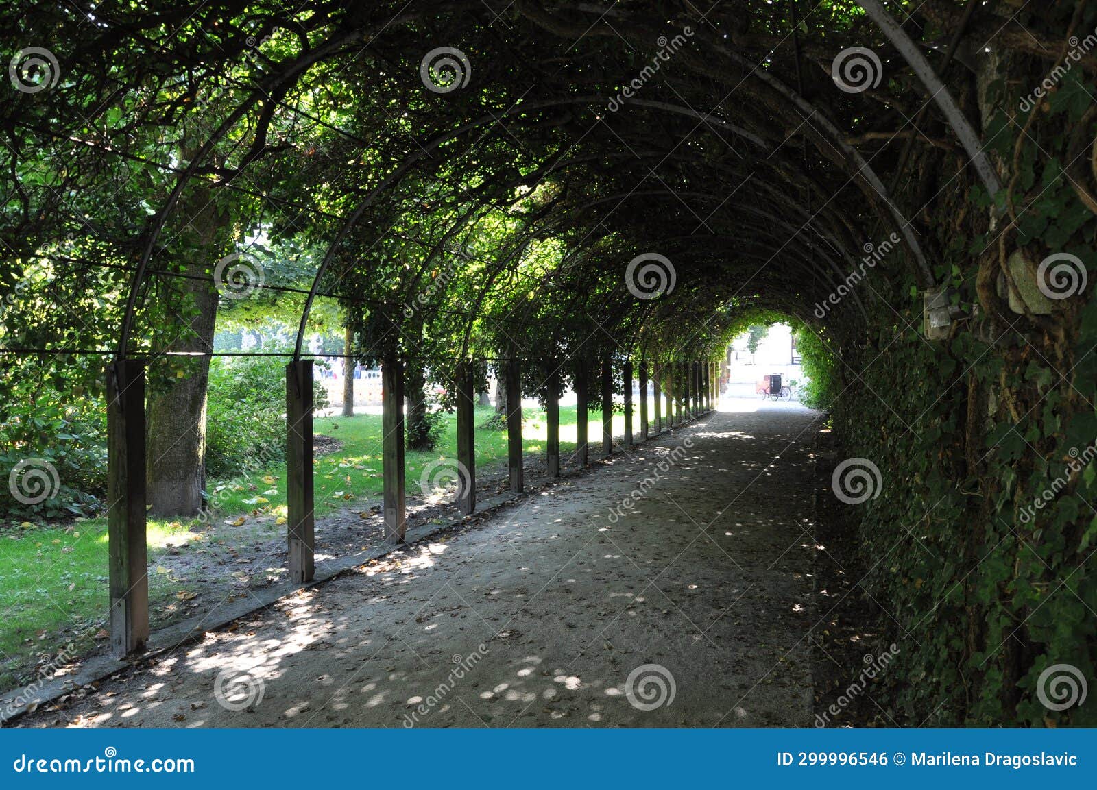 Stone Pathway and Long Spring Arbor Covered by Branches with Green ...