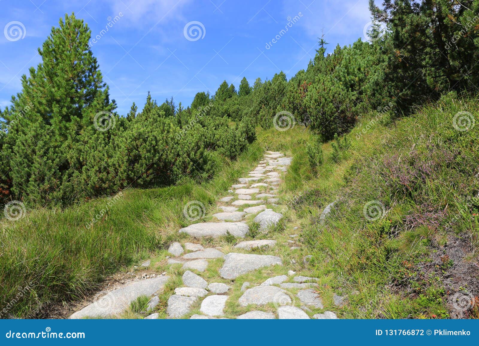 Stone pathway in mountains stock photo. Image of hiking - 131766872
