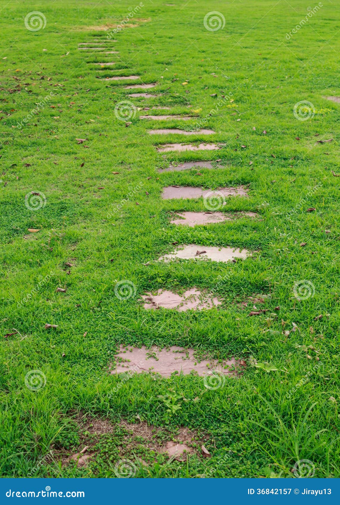 Stone pathway stock image. Image of natural, environment - 36842157