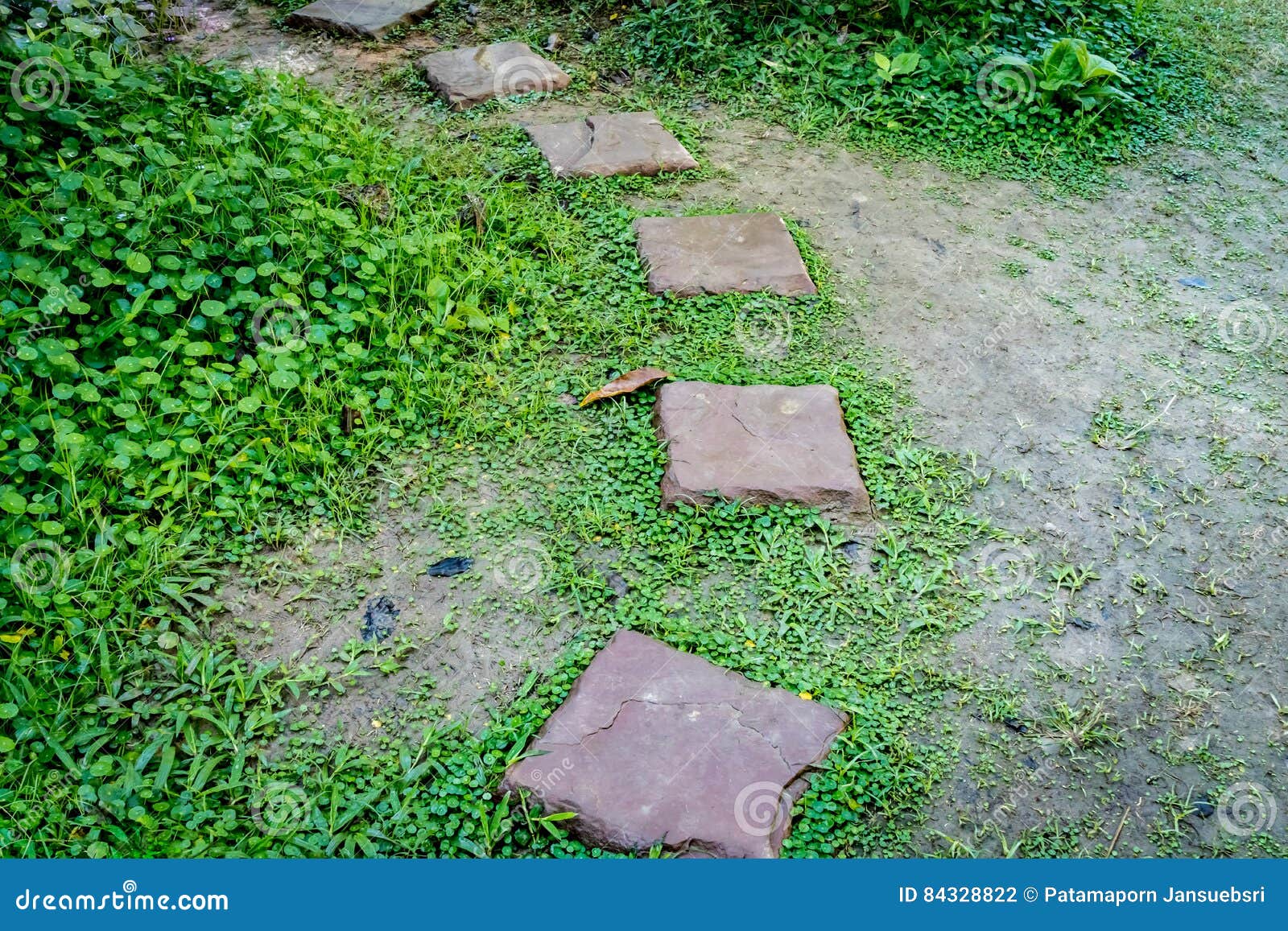 Stone Pathway in the park stock photo. Image of meadow - 84328822