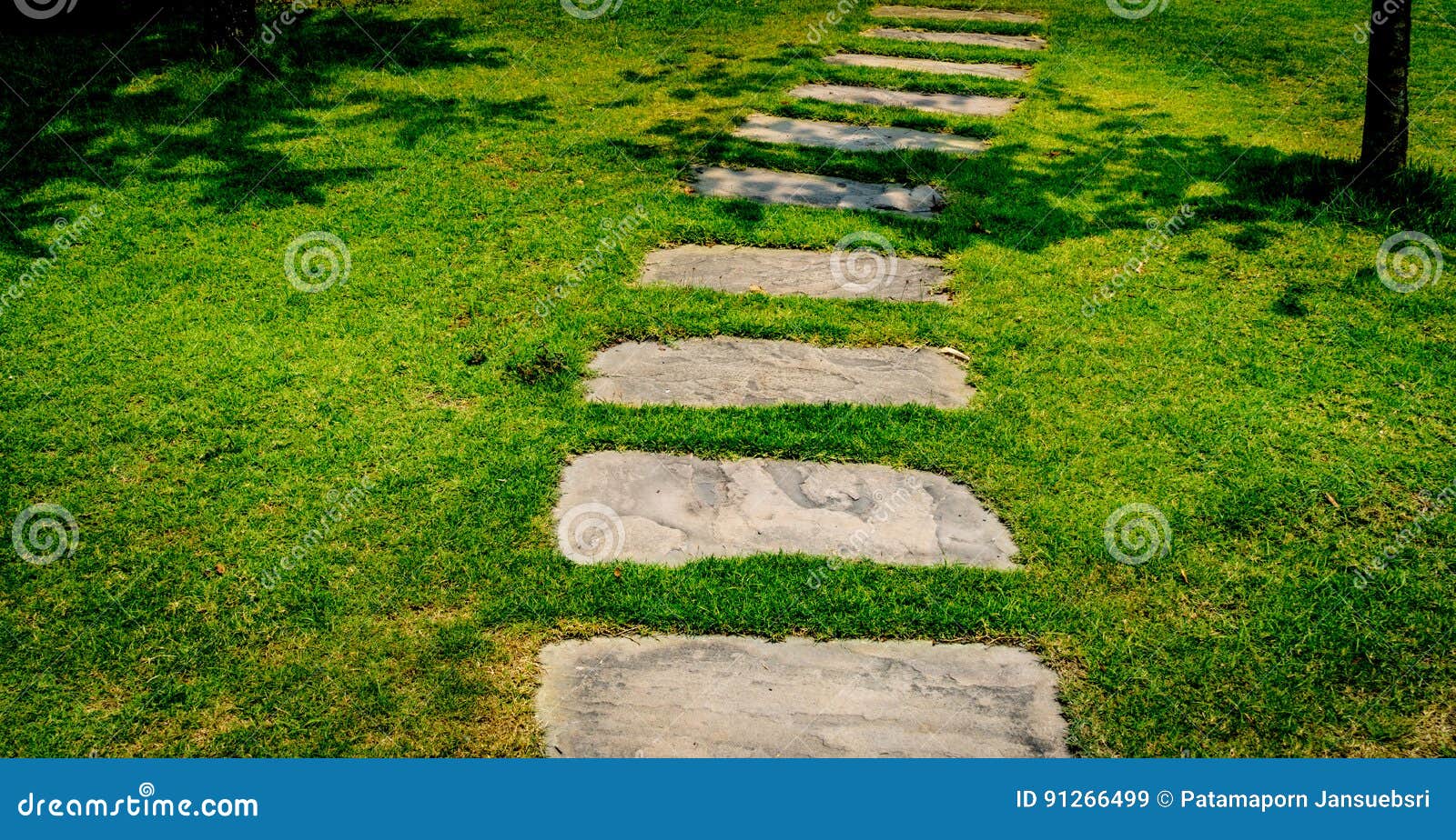 Stone Pathway in the park stock image. Image of lawn - 91266499