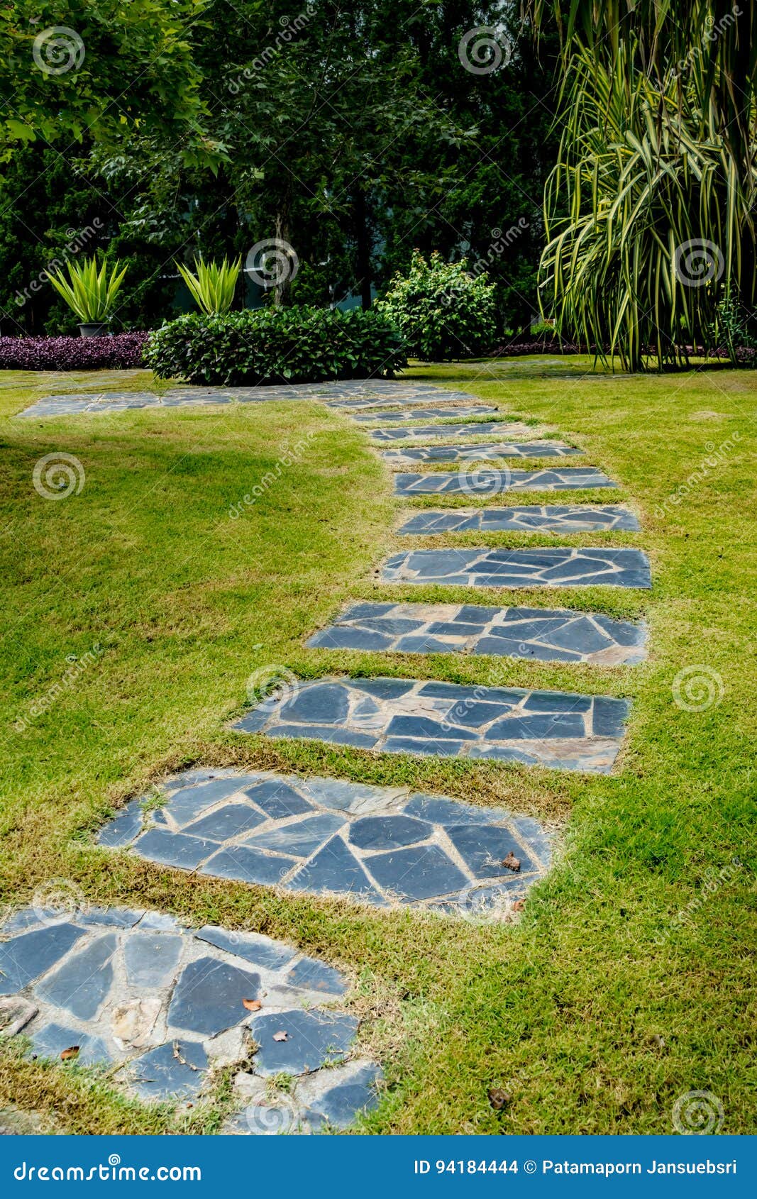 Stone Pathway in the park stock photo. Image of garden - 94184444
