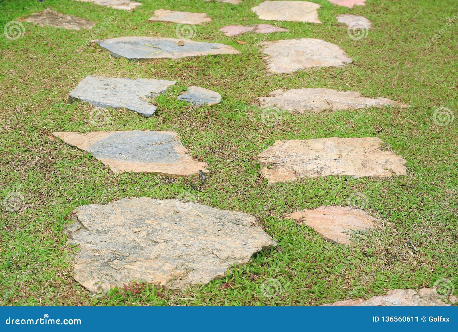 Stone Pathway in the Park with Green Grass Around Stock Image - Image ...