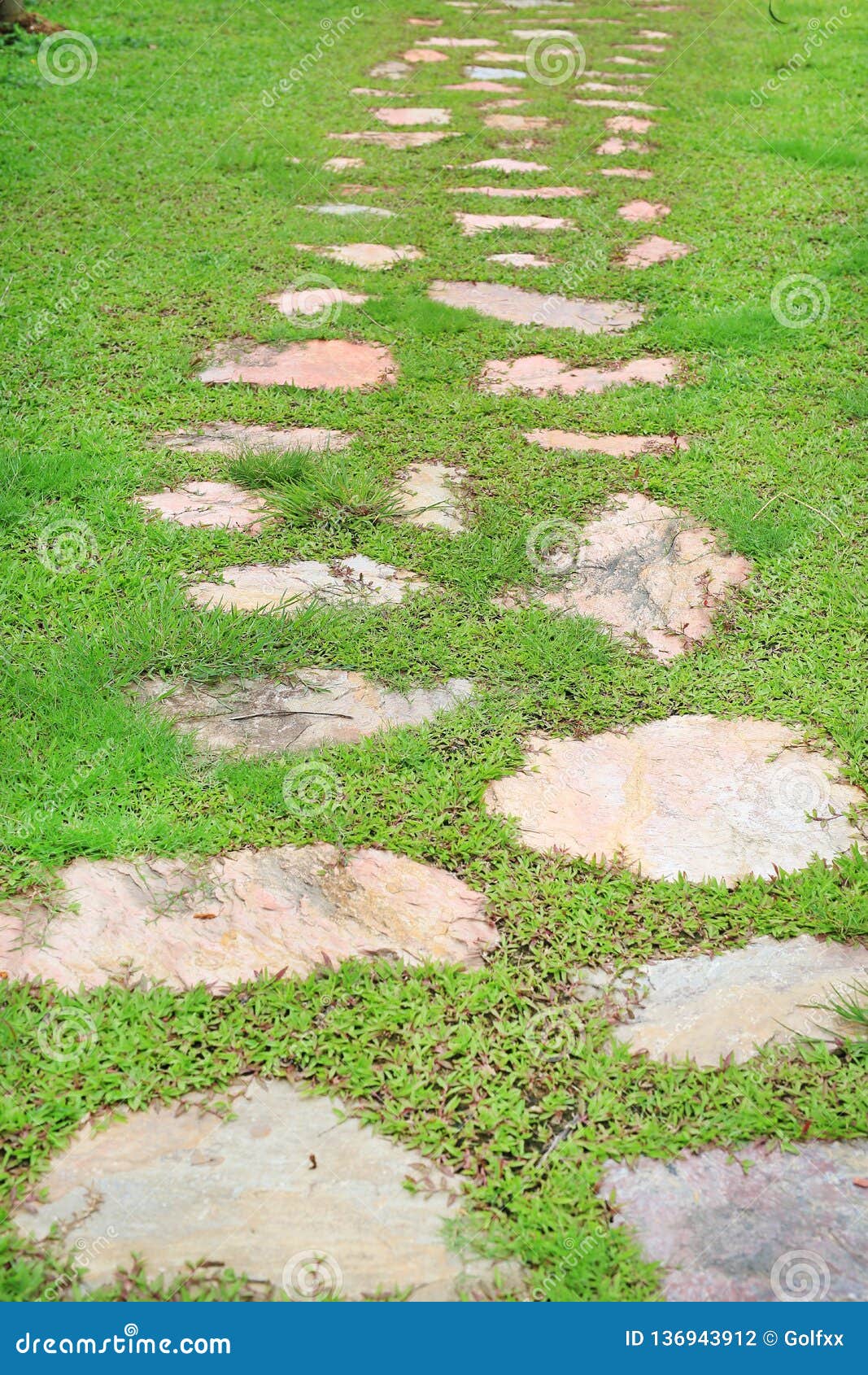 Stone Pathway in the Park with Green Grass Around Stock Photo - Image ...
