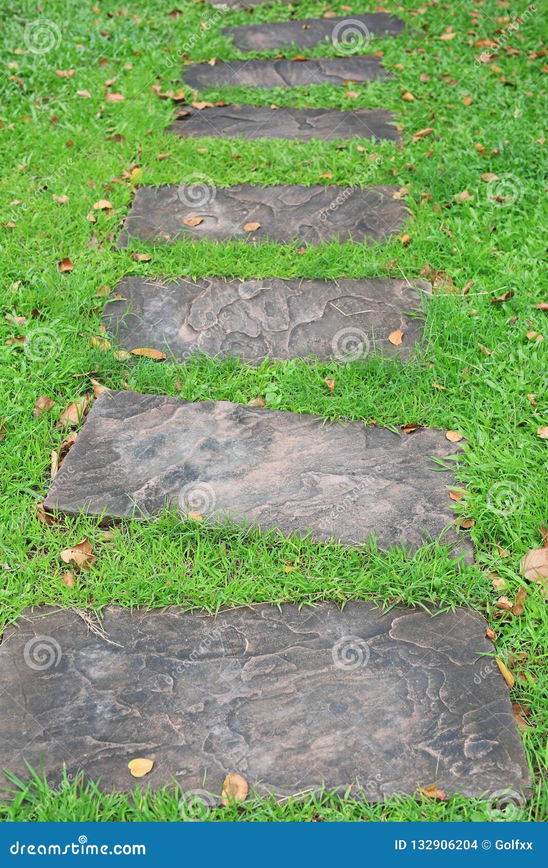 Stone Pathway in the Park with Green Grass Around. Stock Photo - Image ...