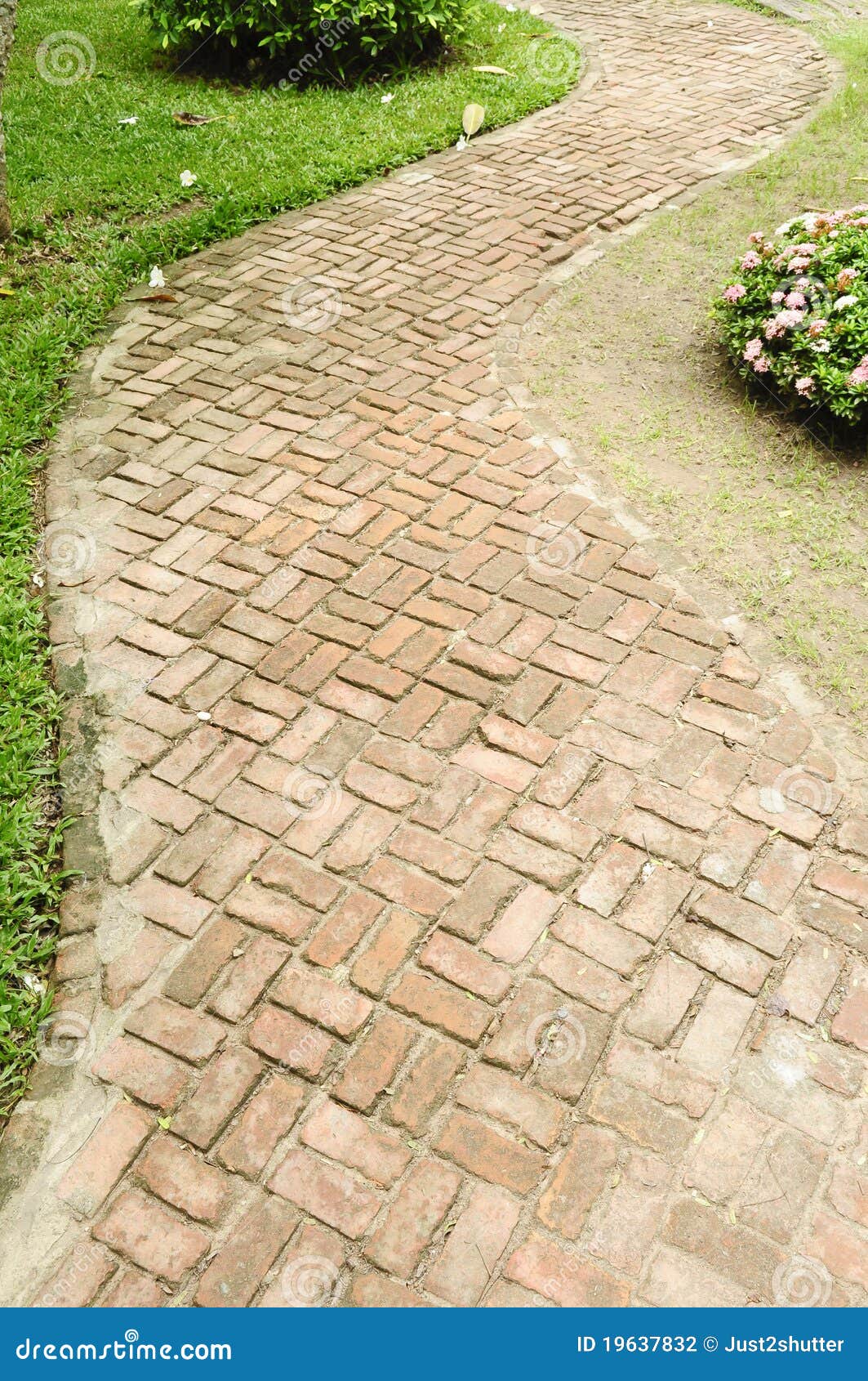 Stone Pathway Pass through a Green Garden Stock Photo - Image of brick ...