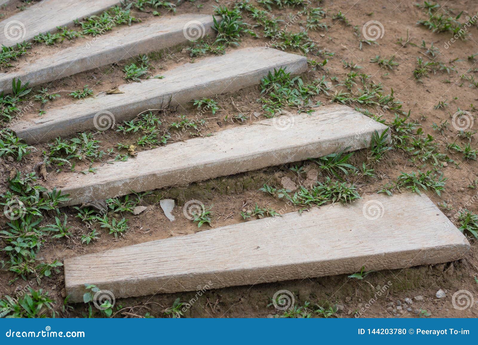 Stone Pathway or Stairs on Floor Stock Photo - Image of outdoor, grass ...