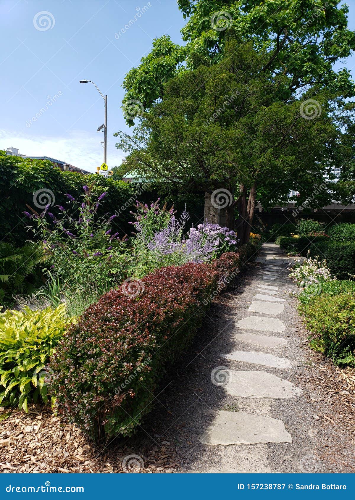 Stone Pathway stock image. Image of pathway, home, beautiful - 157238787 Stone Pathway stock image. Image of pathway, home, beautiful - 157238787