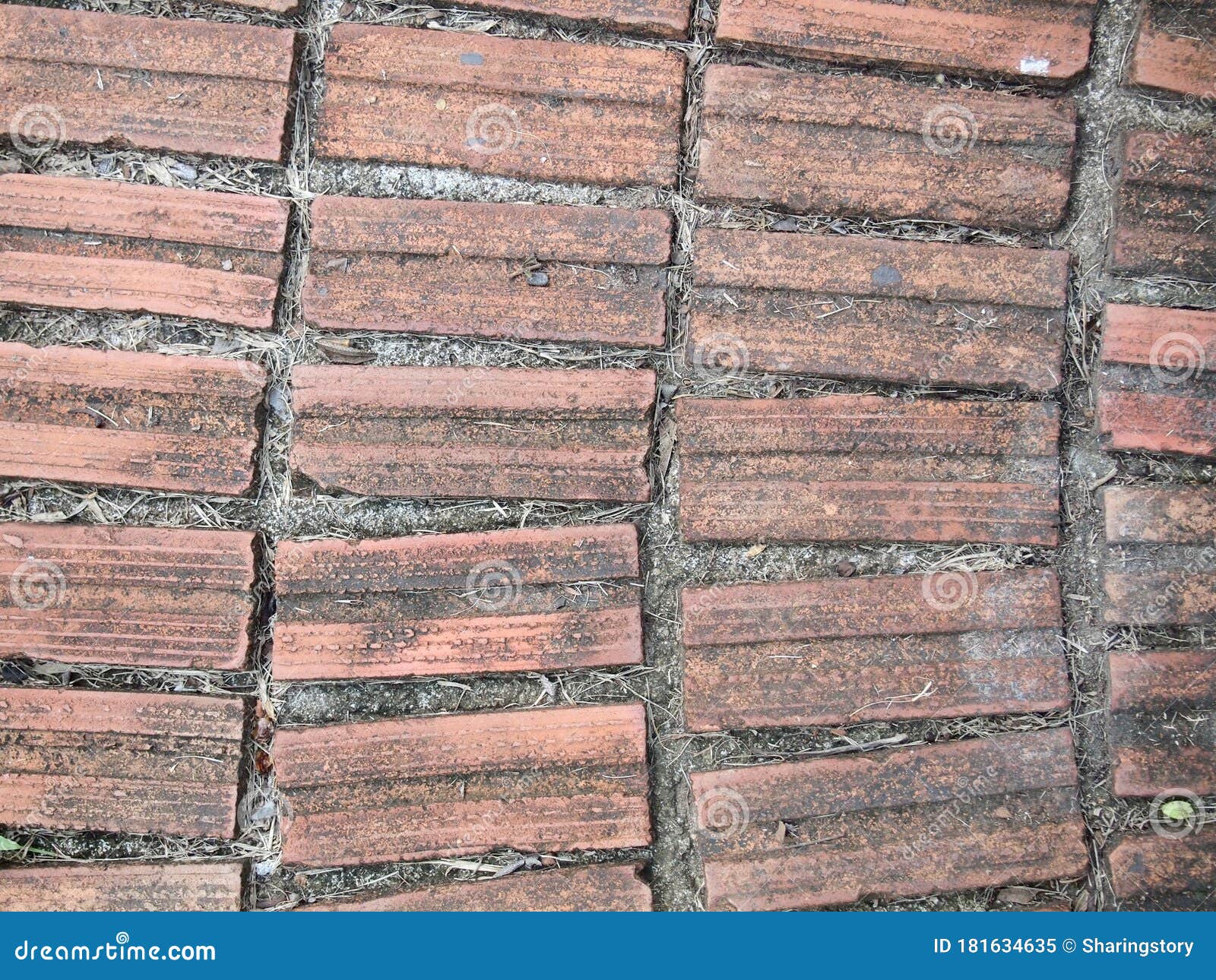 Stone pathway texture stock image. Image of footpath - 181634635