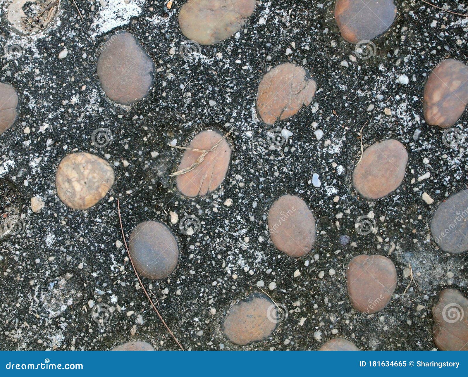 Stone pathway texture stock image. Image of hosta, ground - 181634665