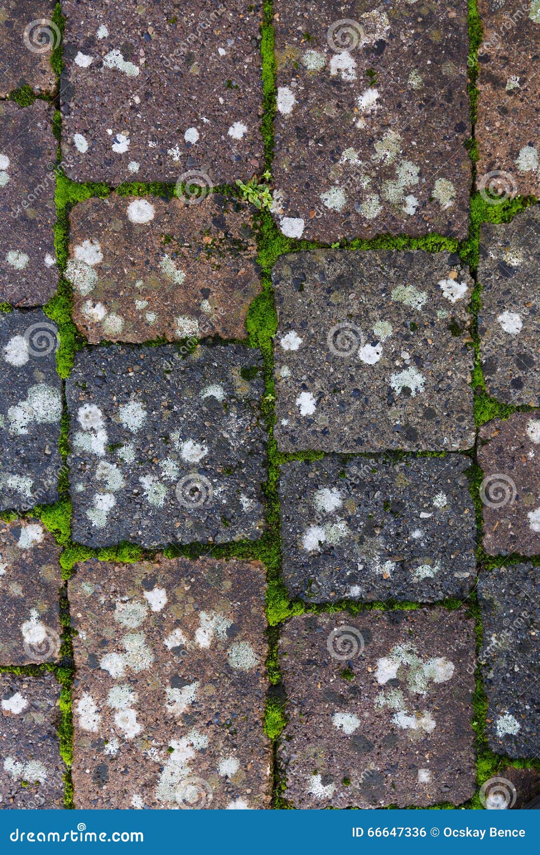 Pathway Texture For The Background. Stock Photography | CartoonDealer ...