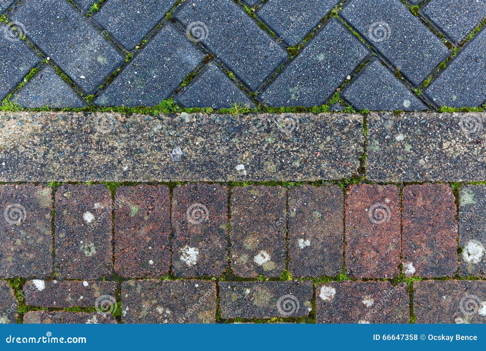 Stone pathway texture stock photo. Image of pattern, grass - 66647358