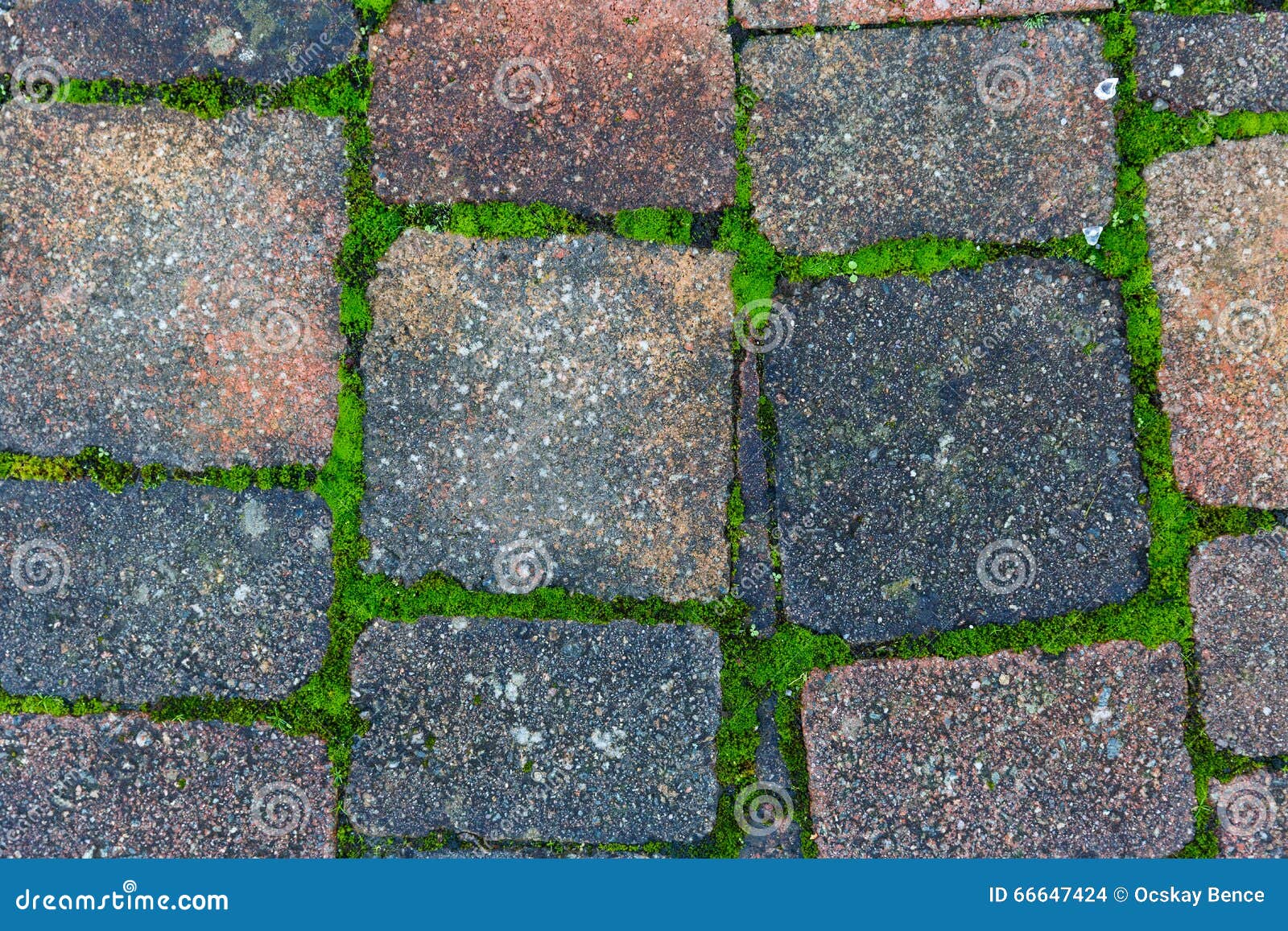 Pathway Texture For The Background. Stock Photography | CartoonDealer ...