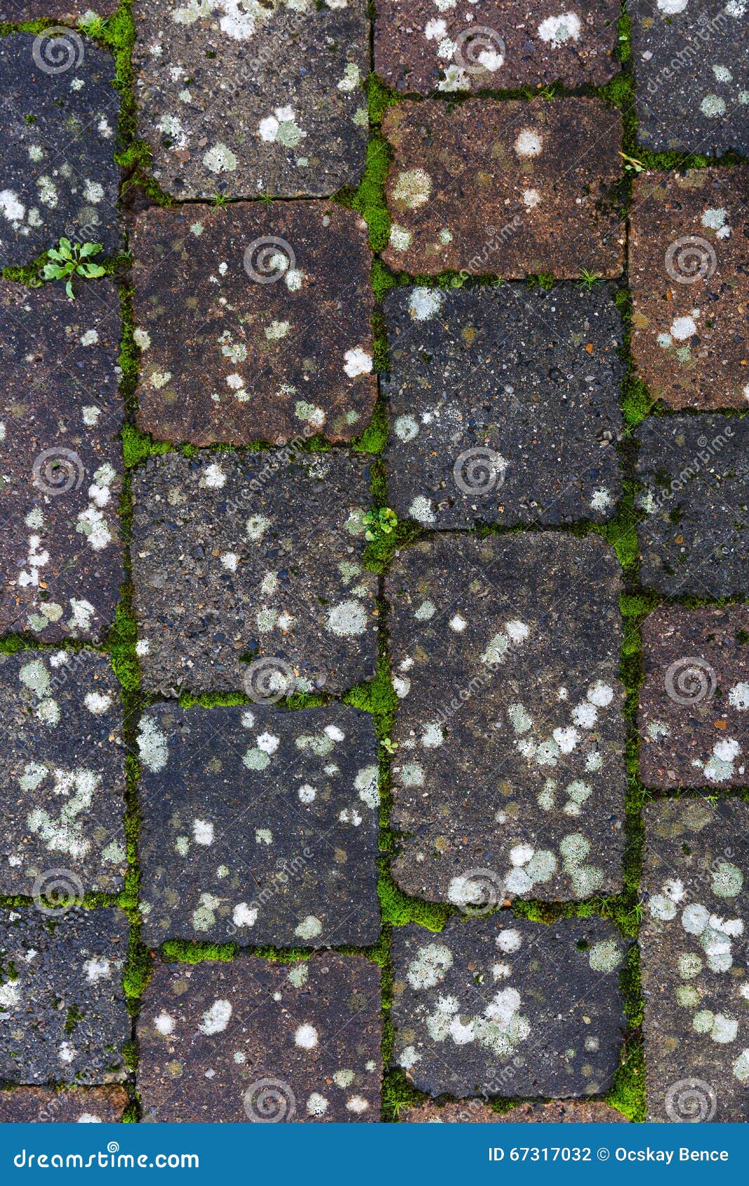 Pathway Texture For The Background. Stock Photography | CartoonDealer ...