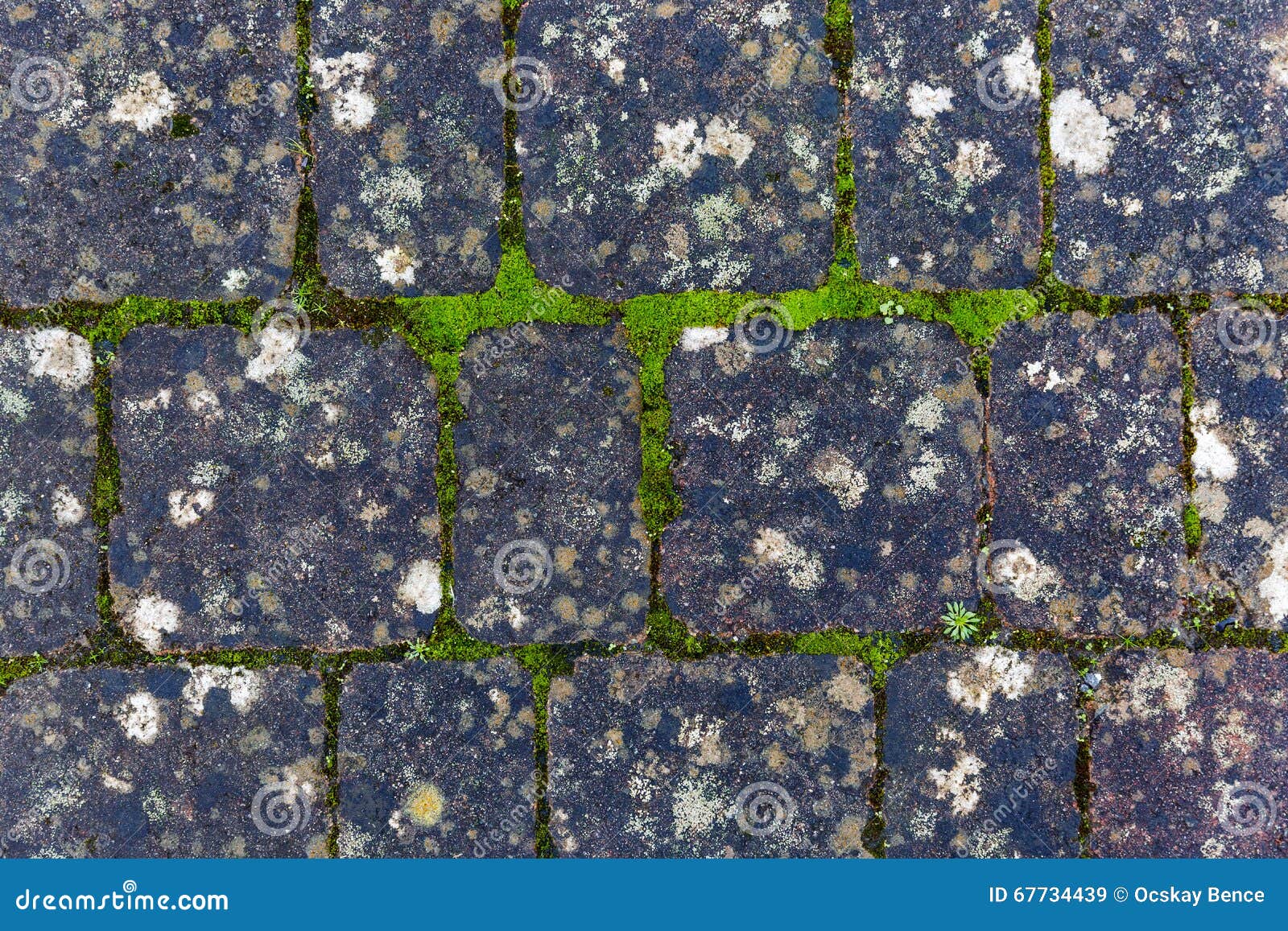 Pathway Texture For The Background. Stock Photography | CartoonDealer ...