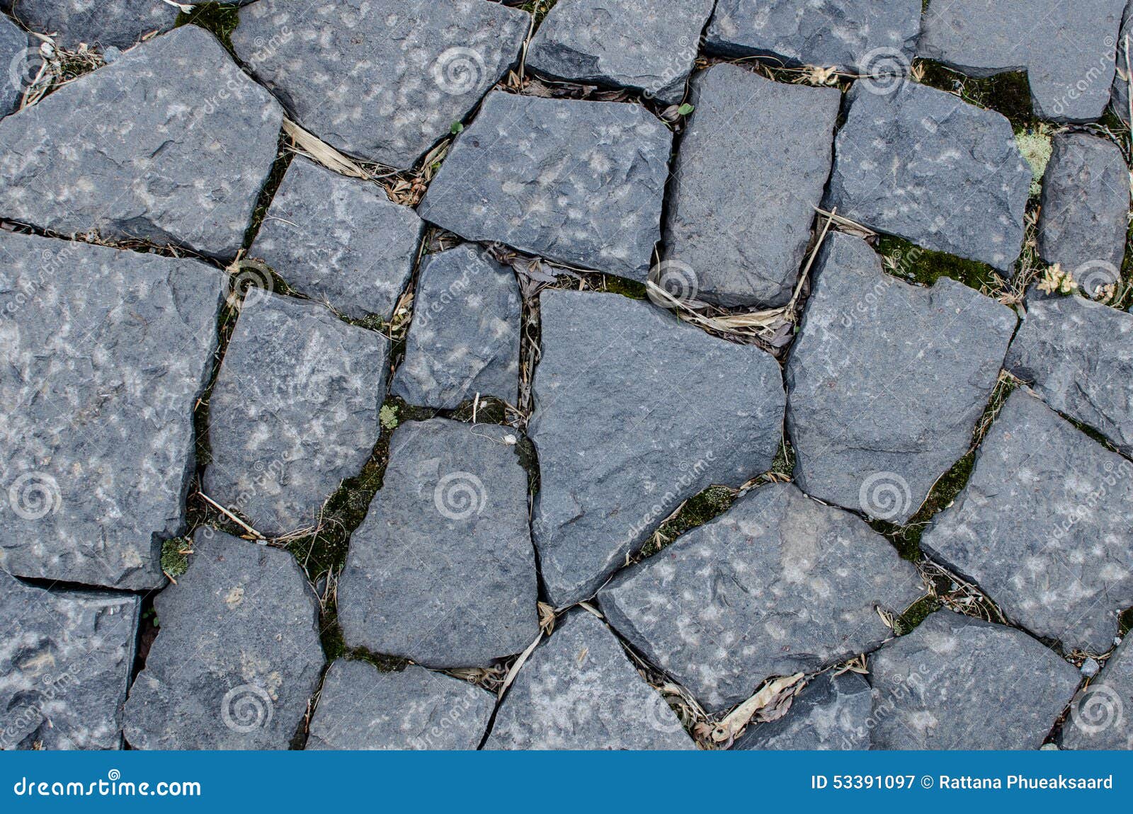 Stone pattern floor stock image. Image of leaves, pattern - 53391097
