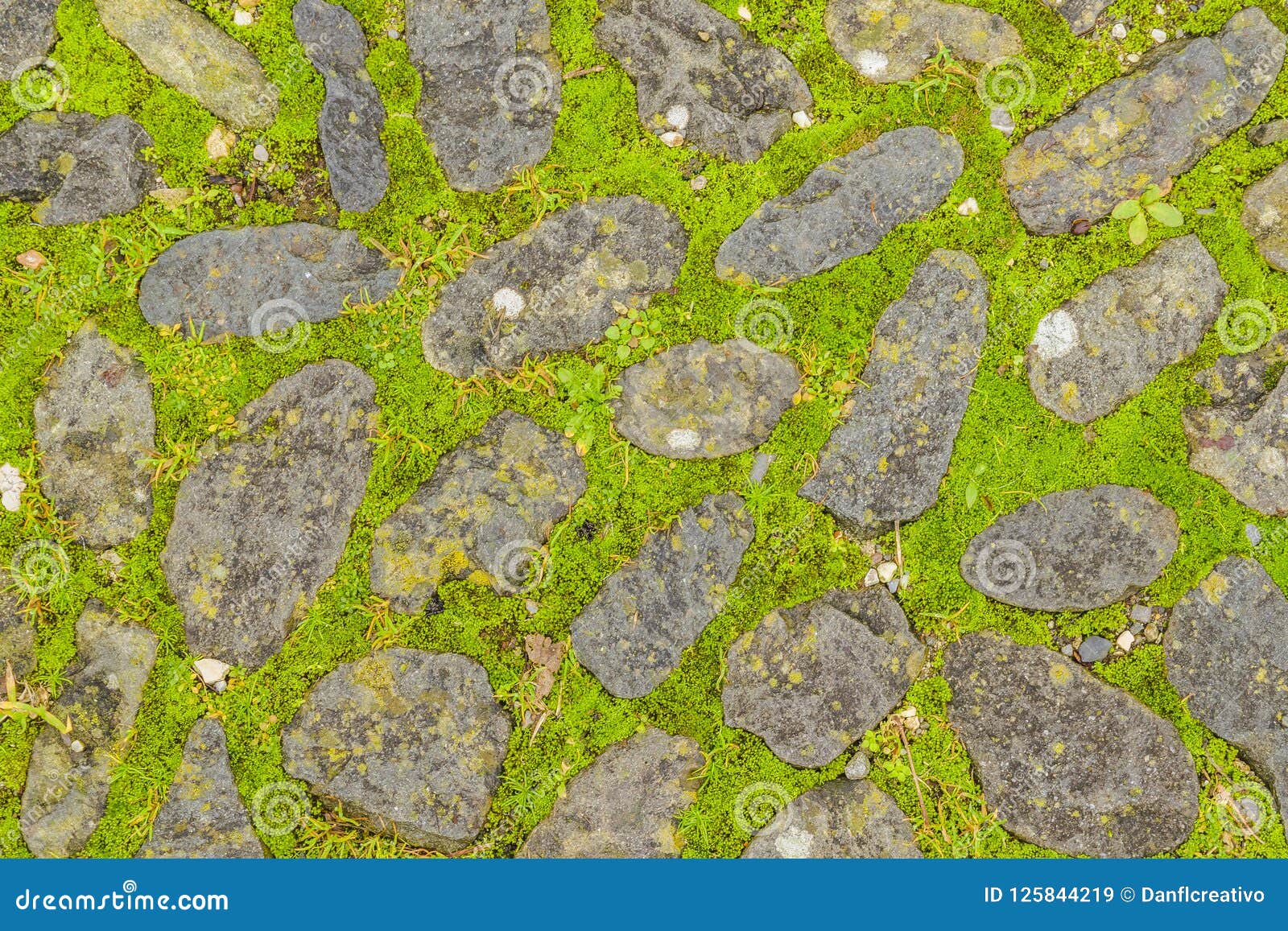 Stone Pattern Path stock image. Image of architecture - 125844219