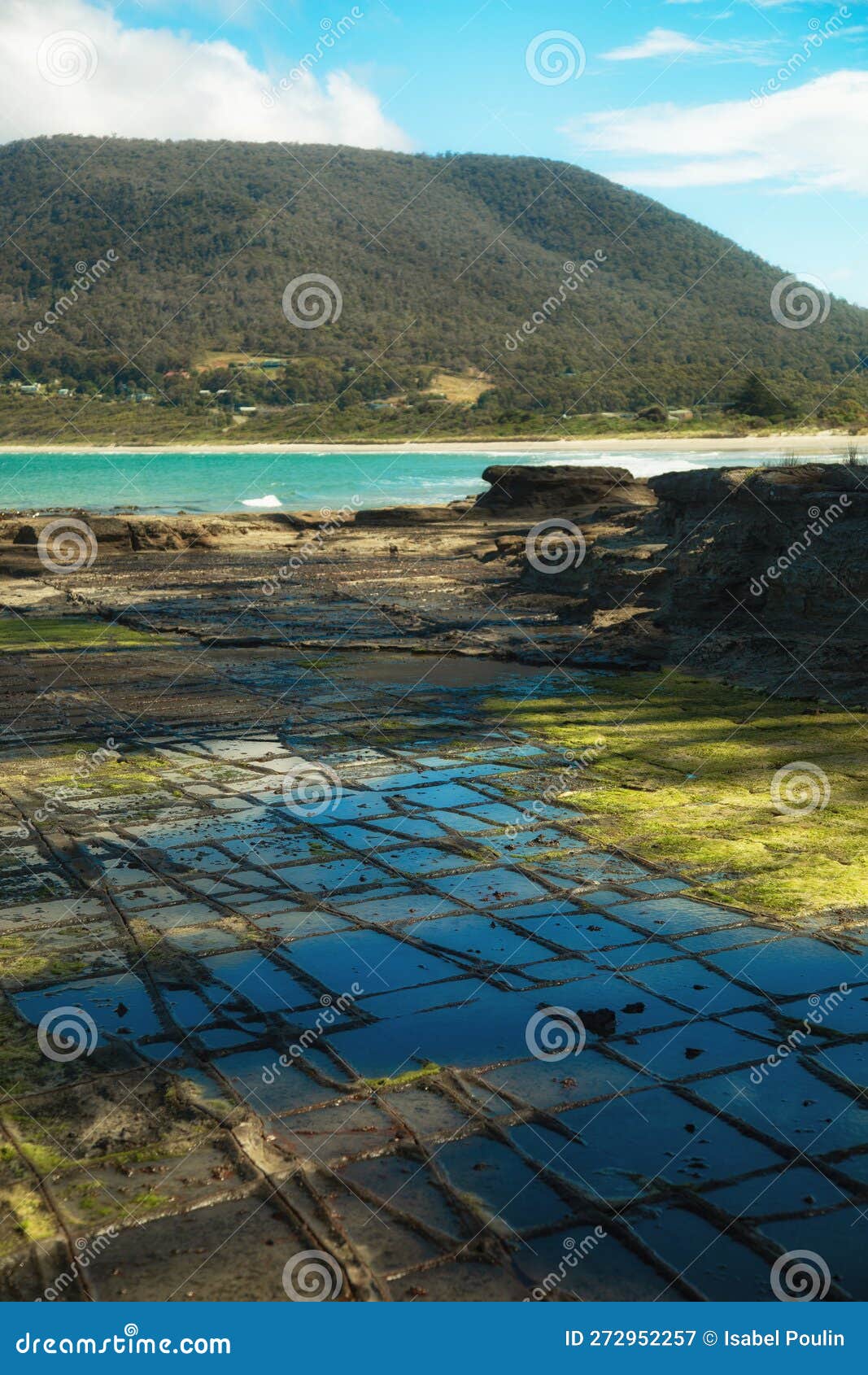 Stone Pattern at Tessellated Pavement in Tasmania Stock Image - Image ...
