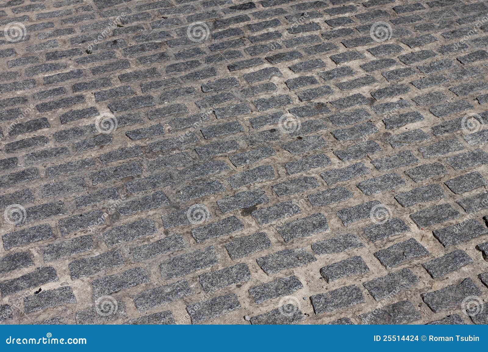 Stone Paved Avenue Street Road Stock Photo - Image of street, road ...