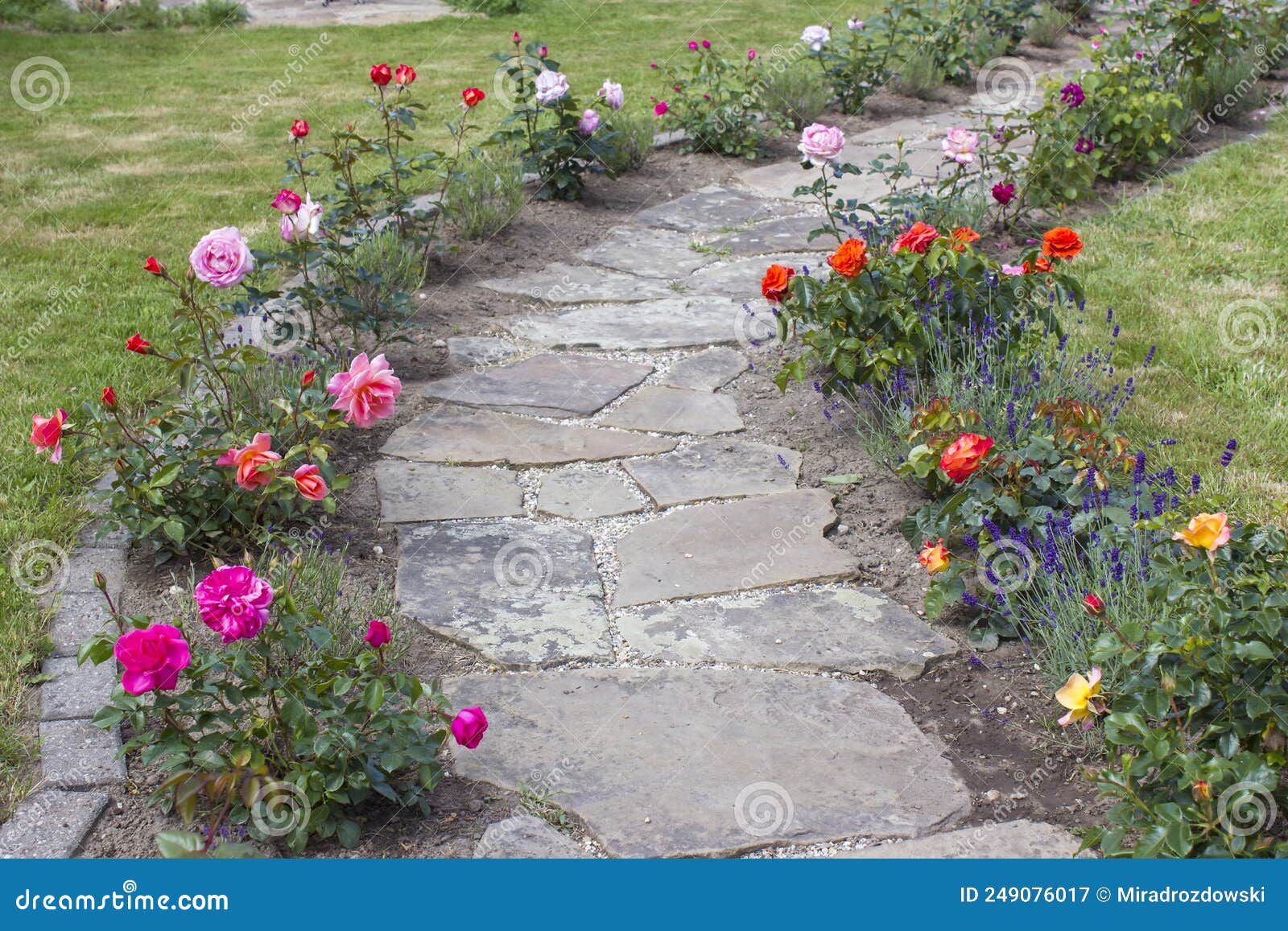 Stone Paved Garden Path and Flowers Stock Image - Image of harmony ...