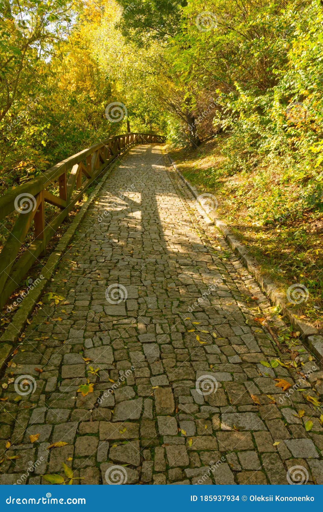 Stone Paved Path in the Autumn Forest Stock Photo - Image of leaf ...