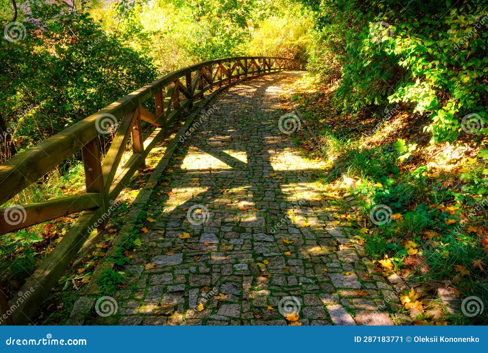 Stone Paved Path in the Autumn Forest Stock Image - Image of outdoor ...