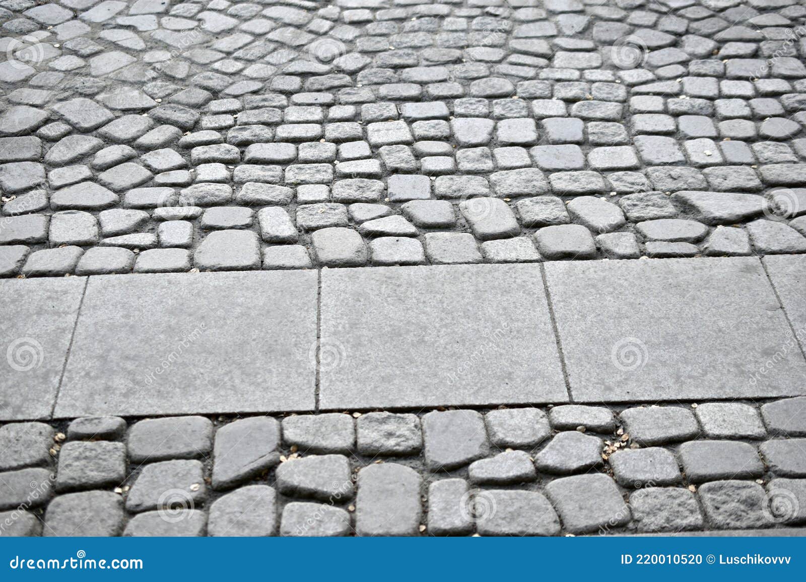 Stone-paved Path Close-up in the Evening with Tree Seeds Stock Photo ...