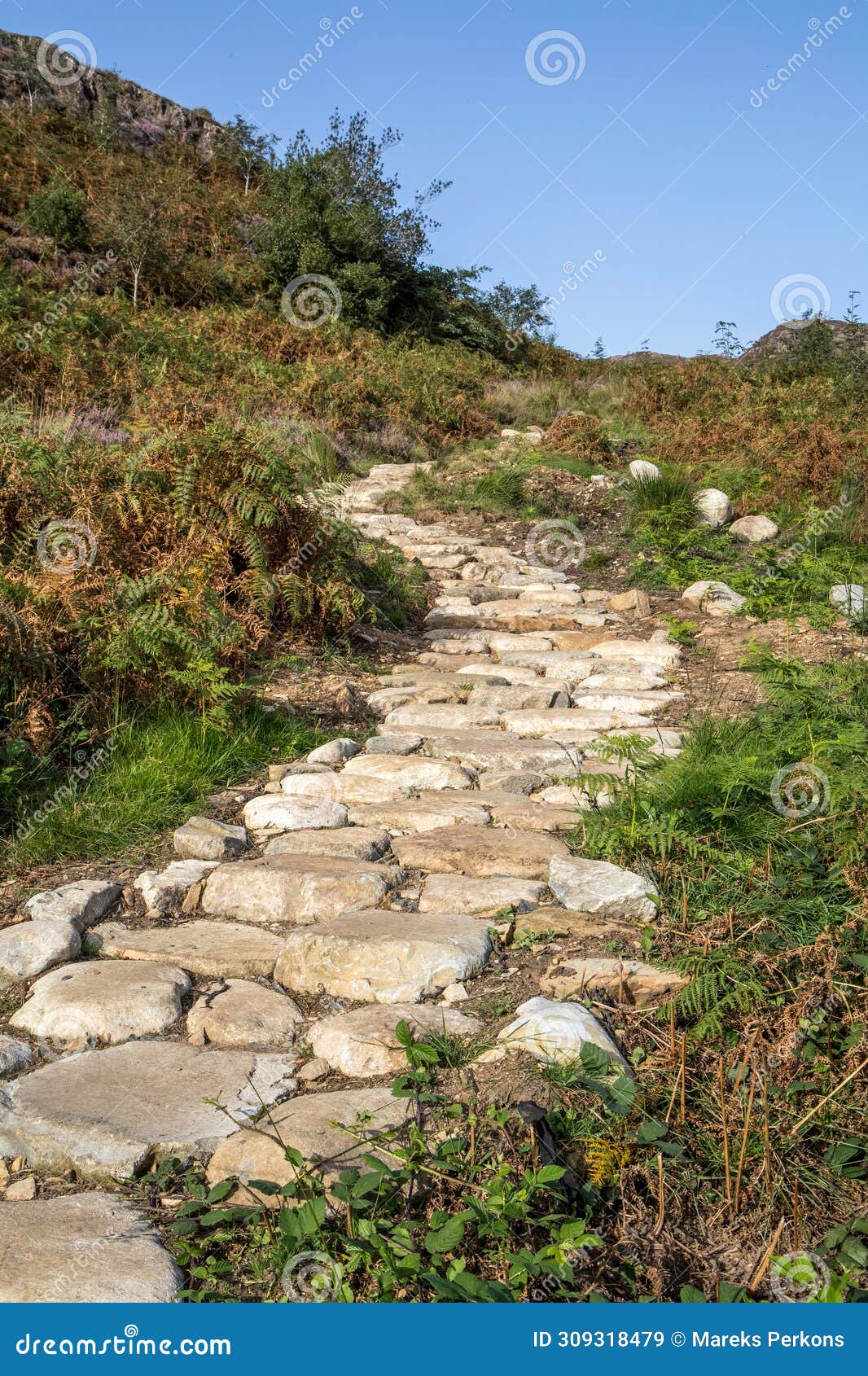 Stone Paved Path through Grass in Snowdon National Park Stock Image ...