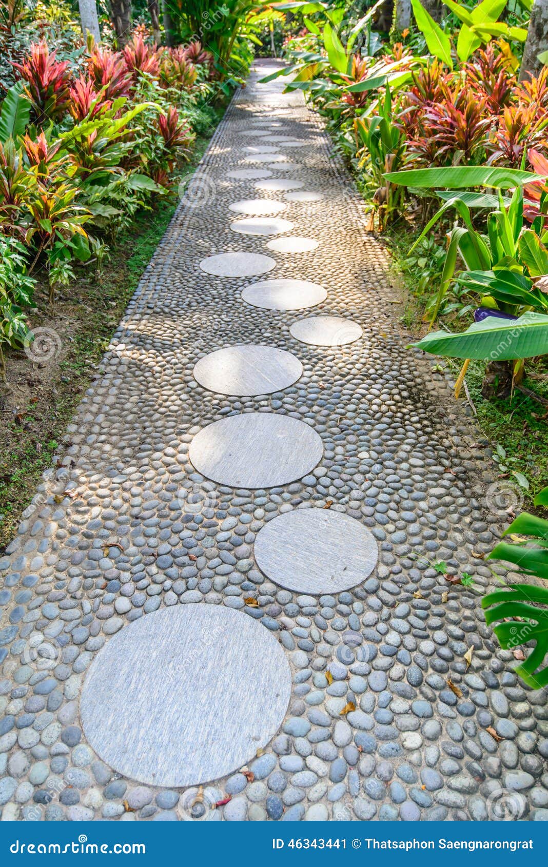 Stone Paved Path in a Tropical Garden Stock Image - Image of colour ...