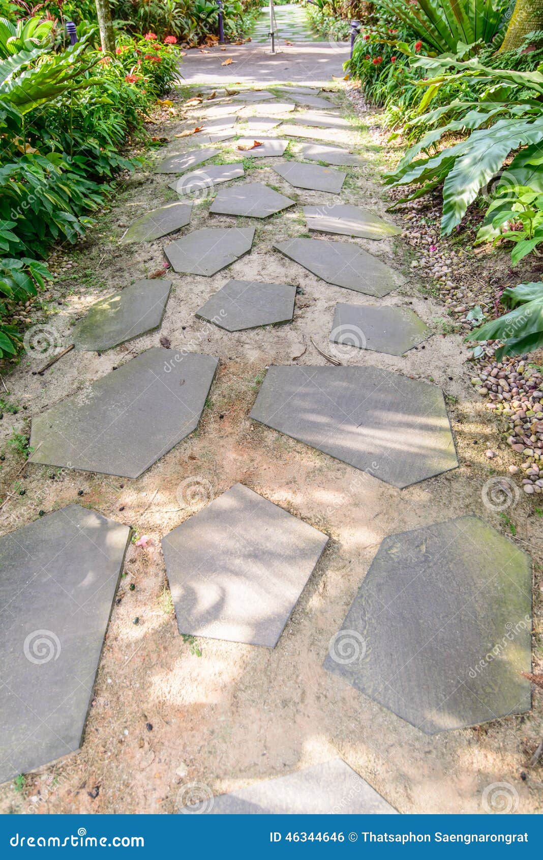 Stone Paved Path in a Tropical Garden Stock Photo - Image of path ...