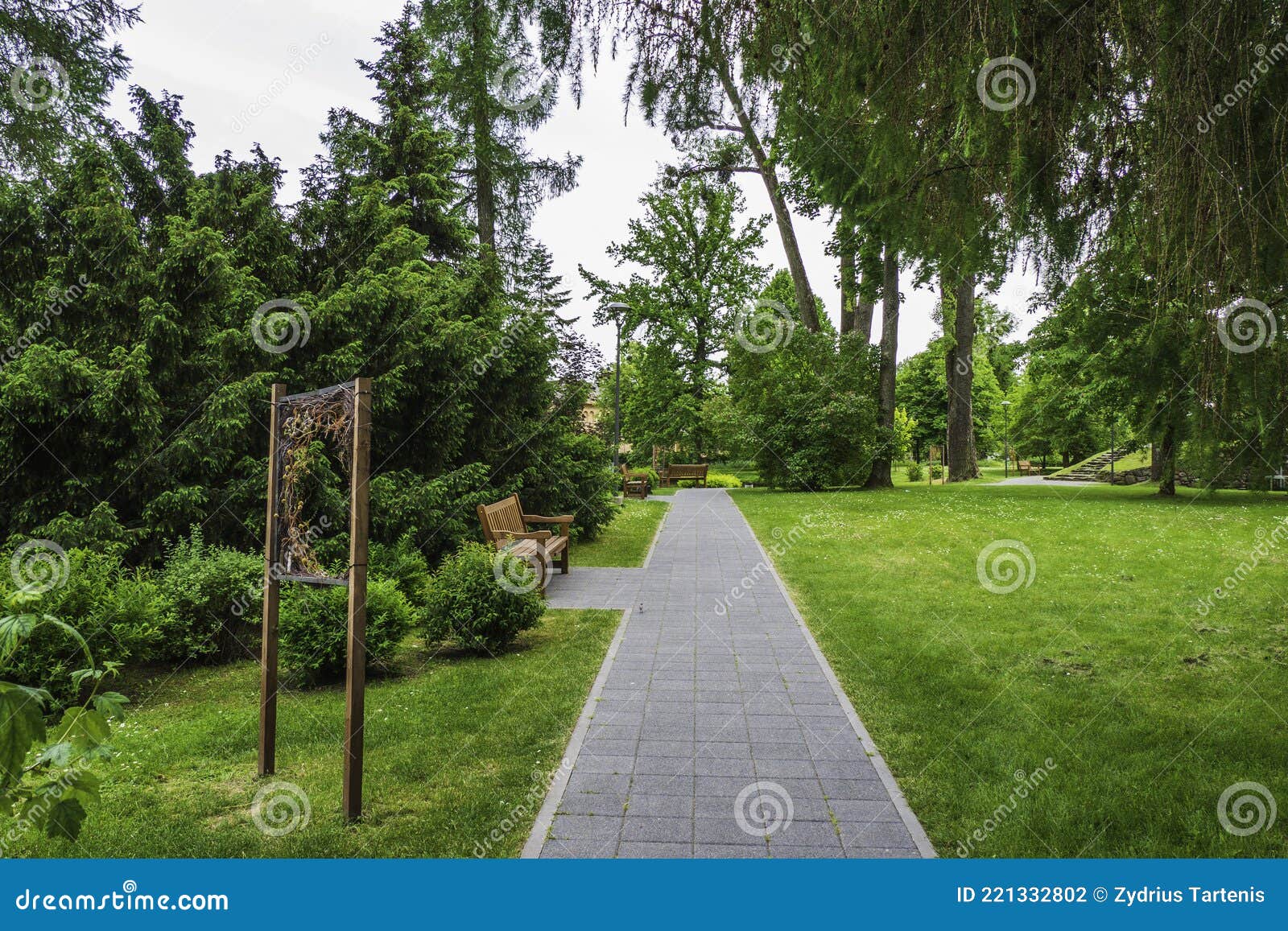 Stone Paved Pathway with Green Lawns and Tree on Both Sides in Park ...